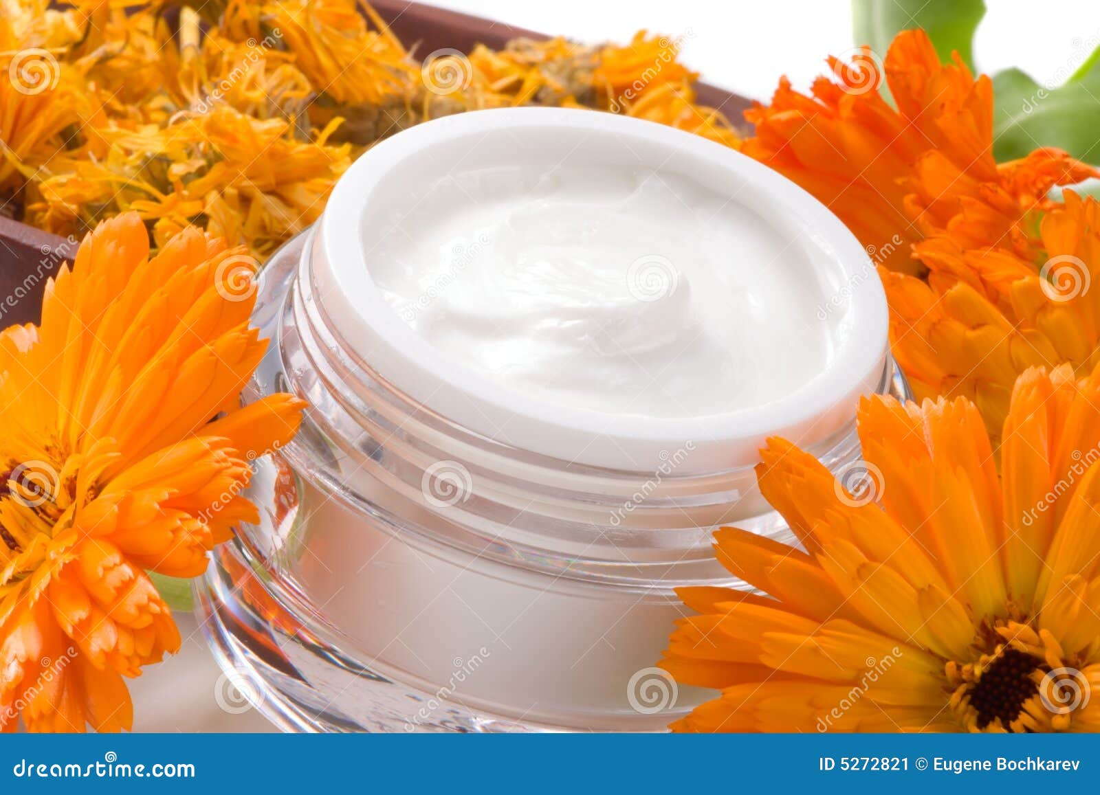 Face Cream and Calendula Flowers Stock Image - Image of ointment ...