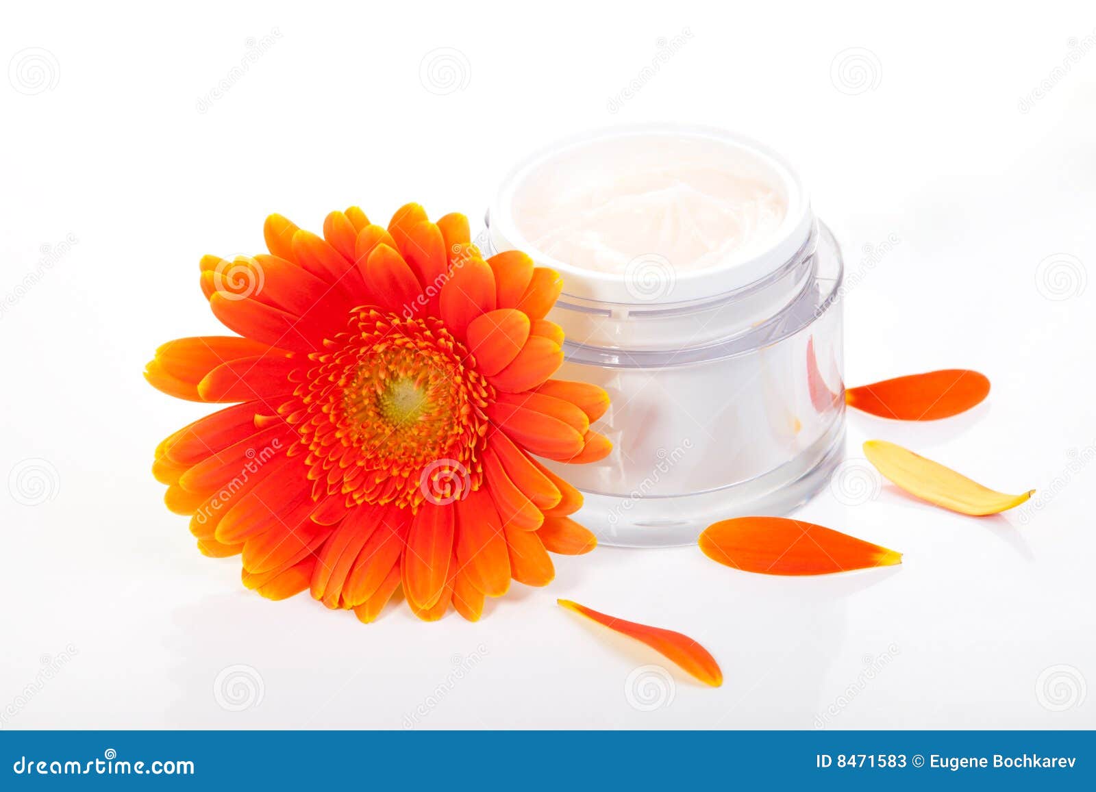 Face Cream and Gerbera Flowers Stock Image - Image of pure, creams: 8471583
