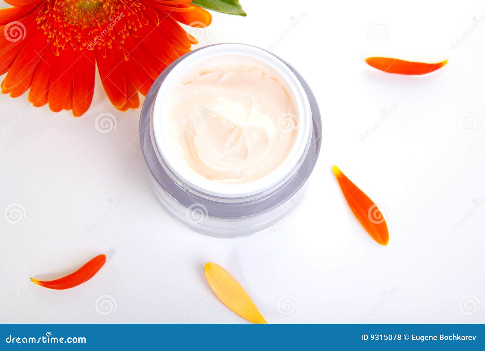 Face Cream and Gerbera Flowers Stock Photo - Image of ecology, hygiene ...