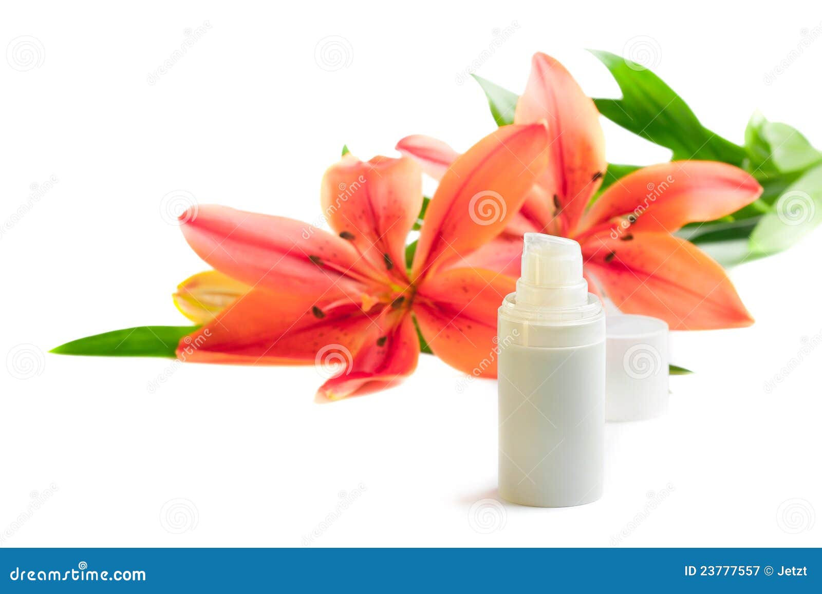 Face Cream with Lily Flowers, on White Stock Image - Image of mature ...