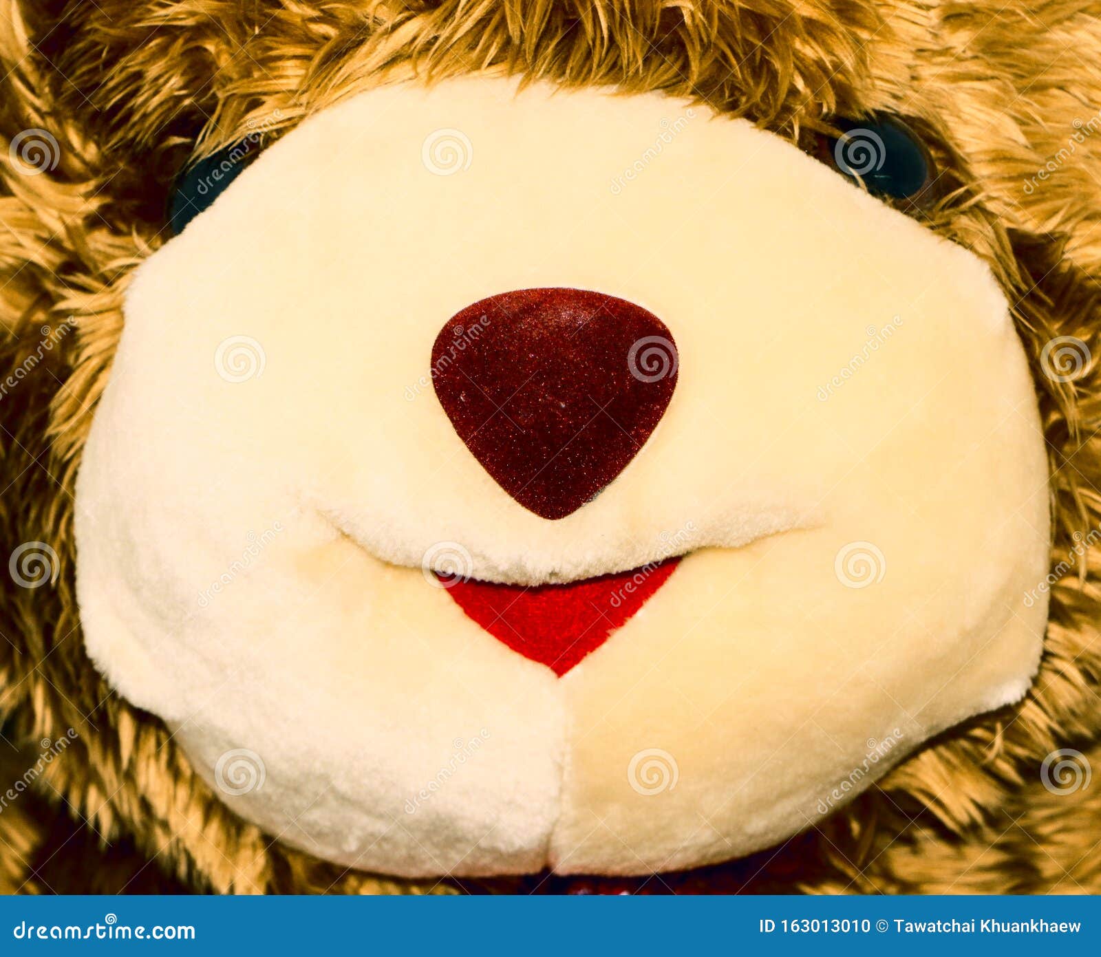 The Face of the Cute Teddy Bear Stock Photo - Image of face, animal ...