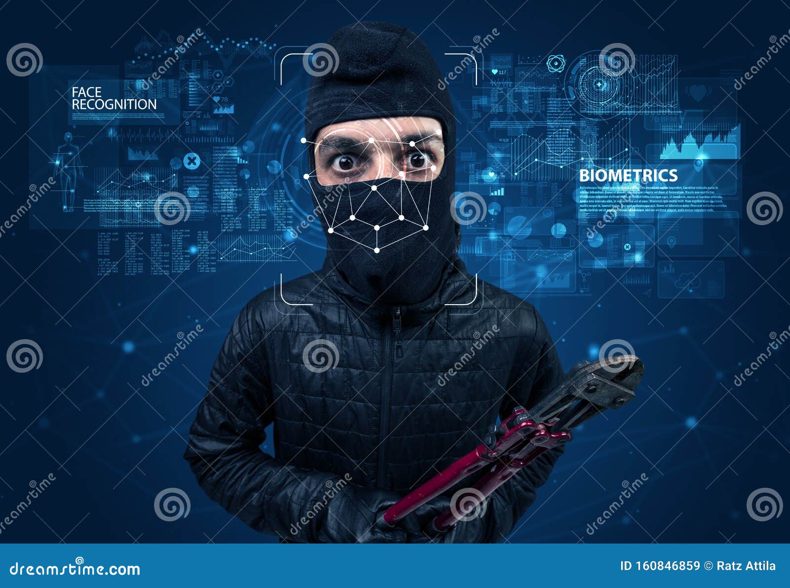 Face Detection and Recognition Stock Image - Image of face, intruder ...
