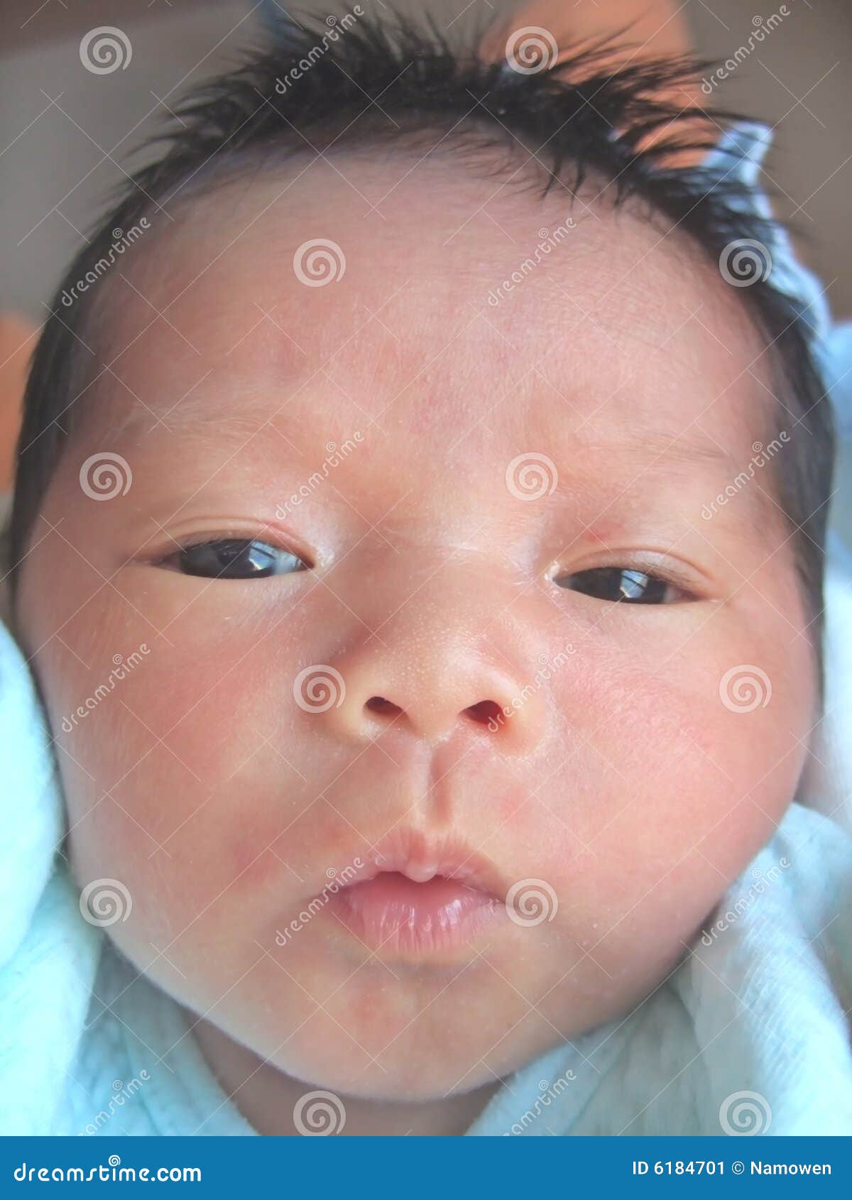 Face do bebê imagem de stock. Imagem de maxila, beleza - 6184701