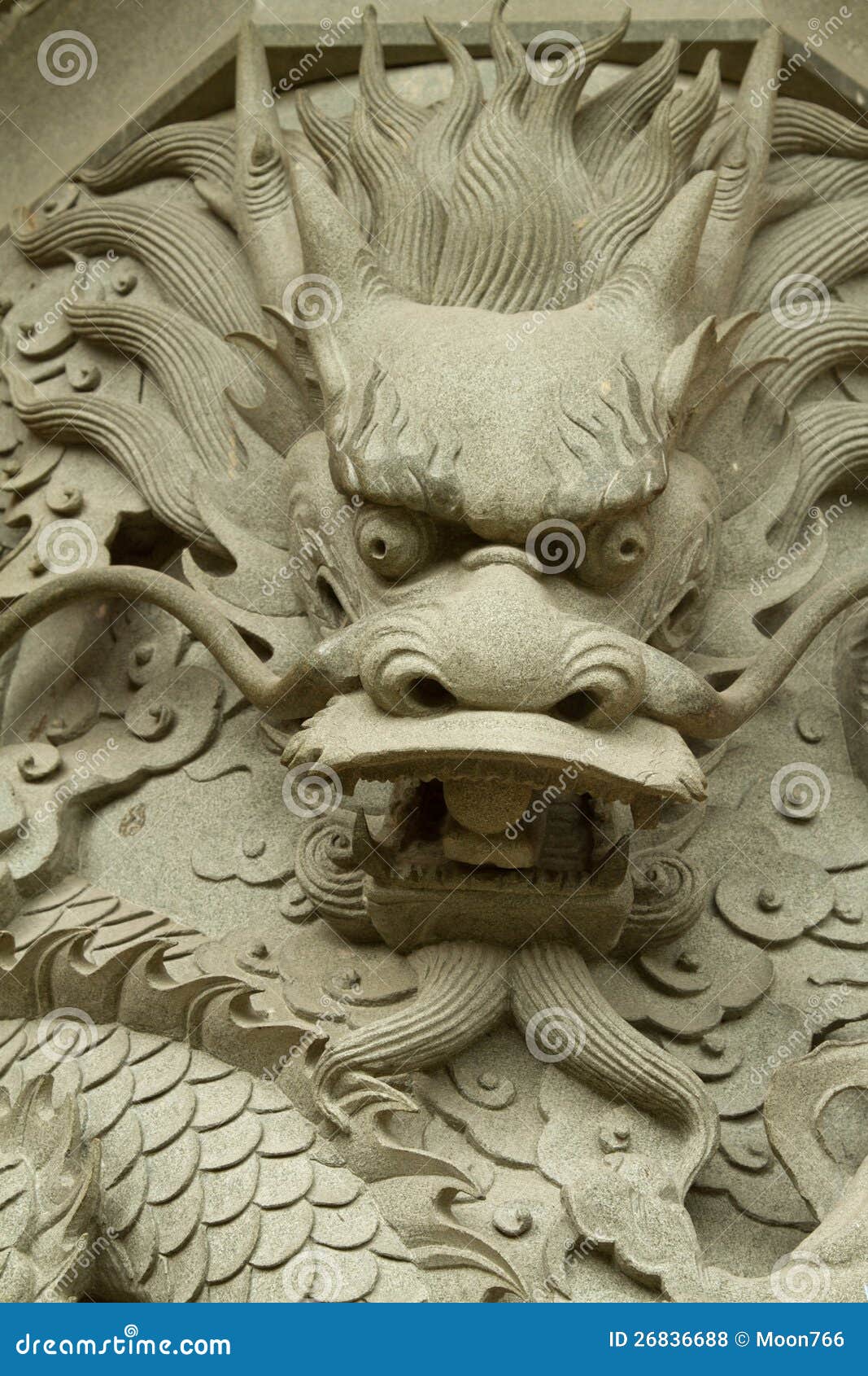 Face Of Dragon. Picture Image: 26836688