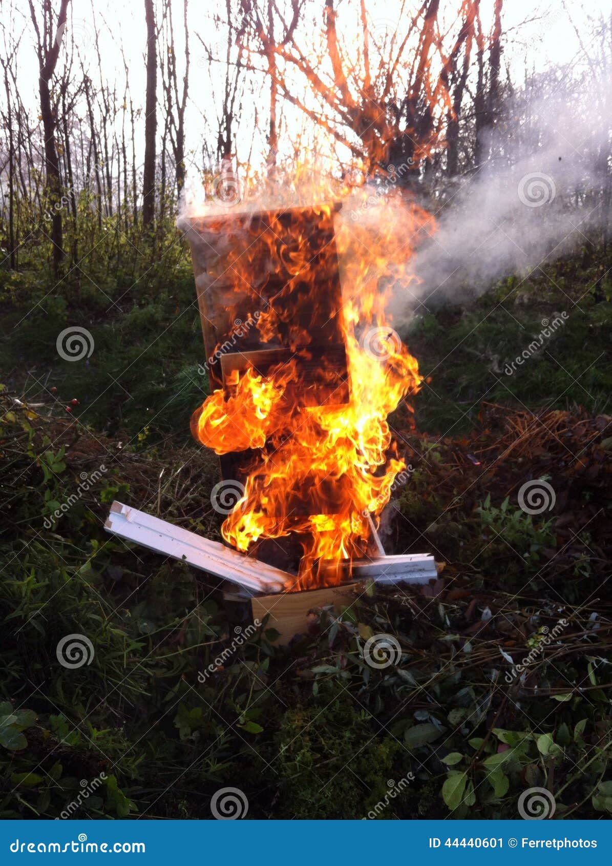 Demon Faces In Smoke