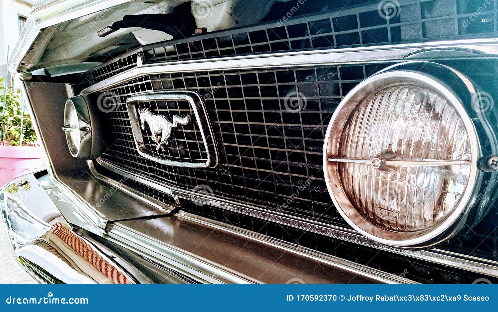 Face of Ford Mustang 1969 editorial image. Image of horse - 170592370