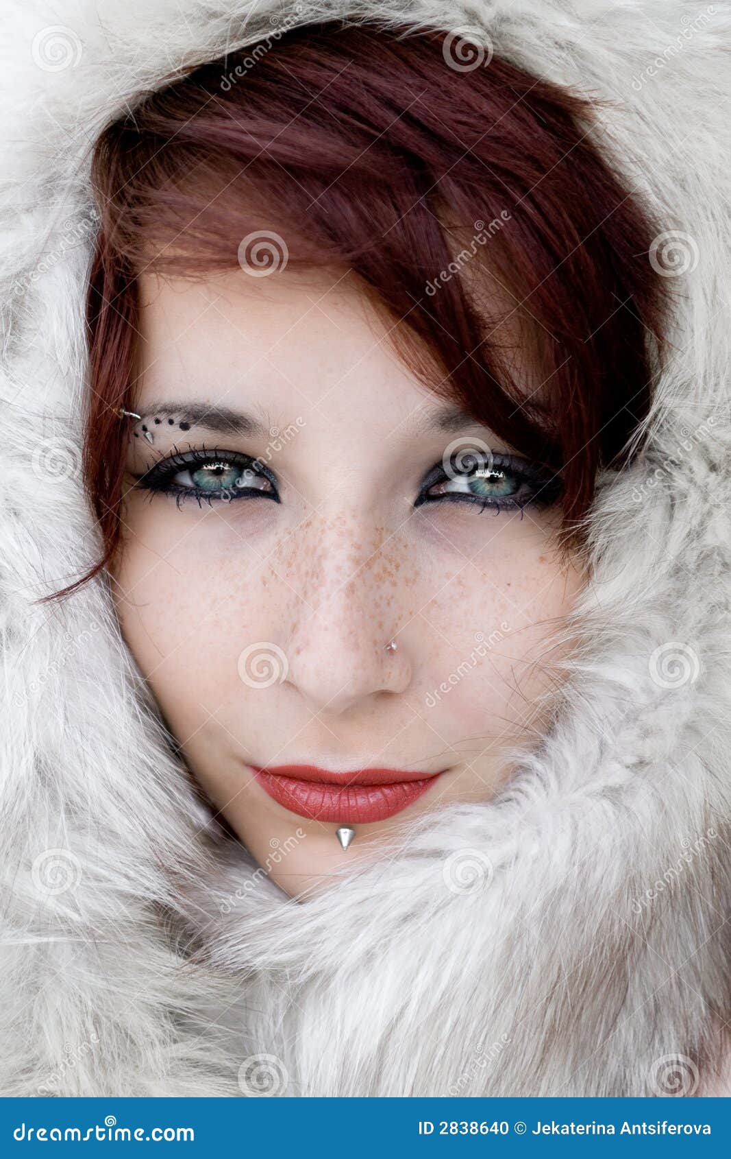 Face in fur stock photo. Image of attract, temptation - 2838640