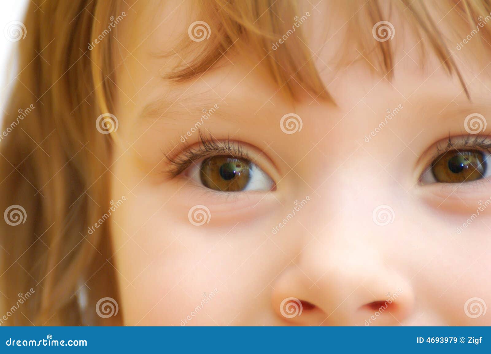 Face of the girl. stock image. Image of child, beautiful - 4693979