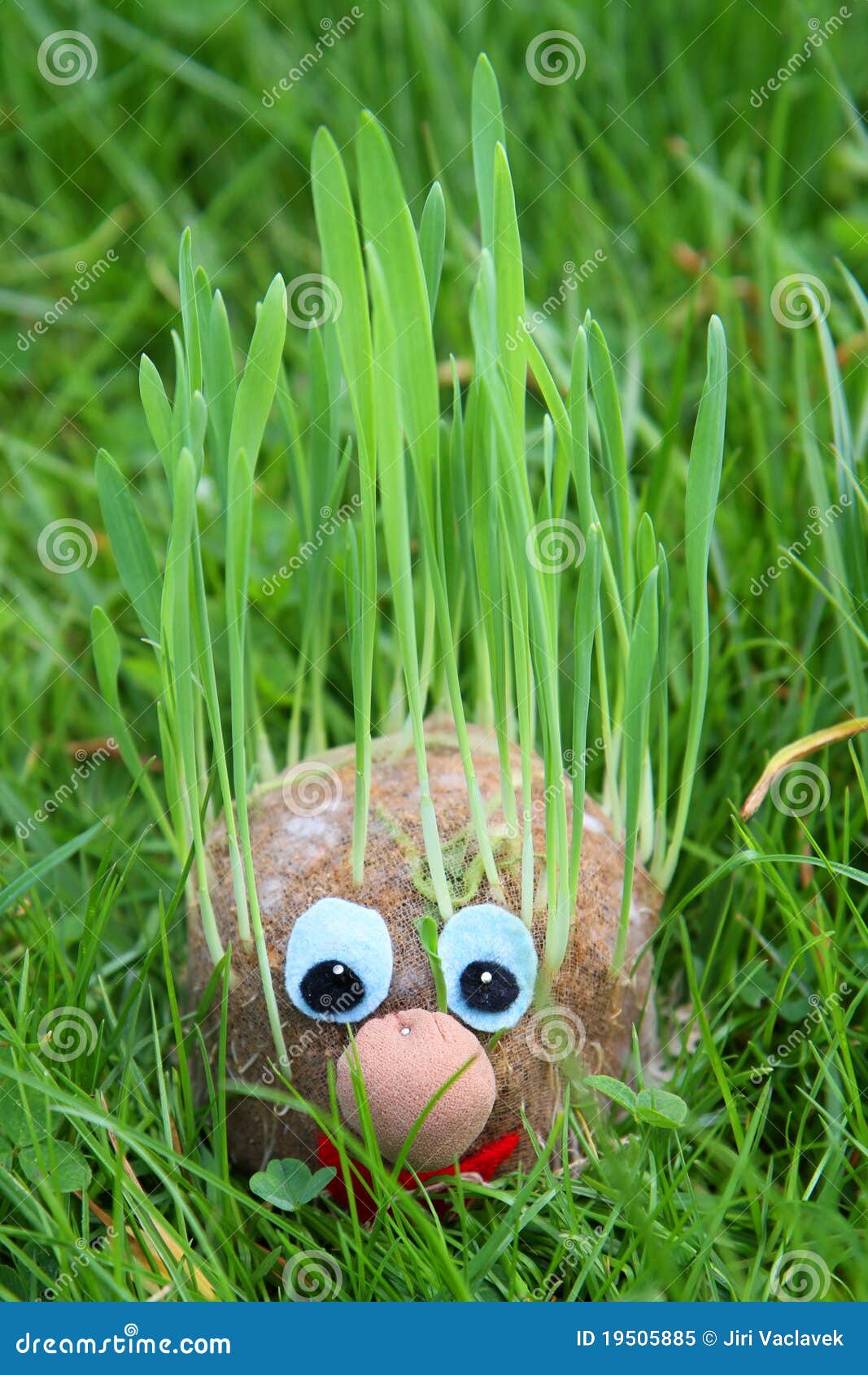 Face with grass hair stock image. Image of environmental - 19505885
