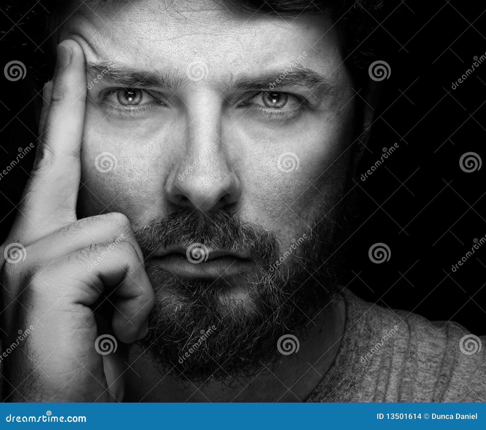 Face of Handsome Bearded Confident Man Stock Photo - Image of male ...