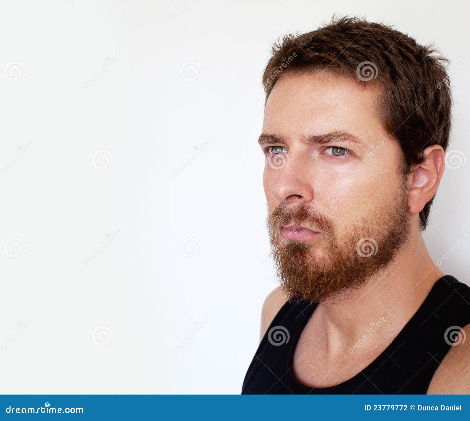 Face of Handsome Man Isolated on White Stock Photo - Image of head ...