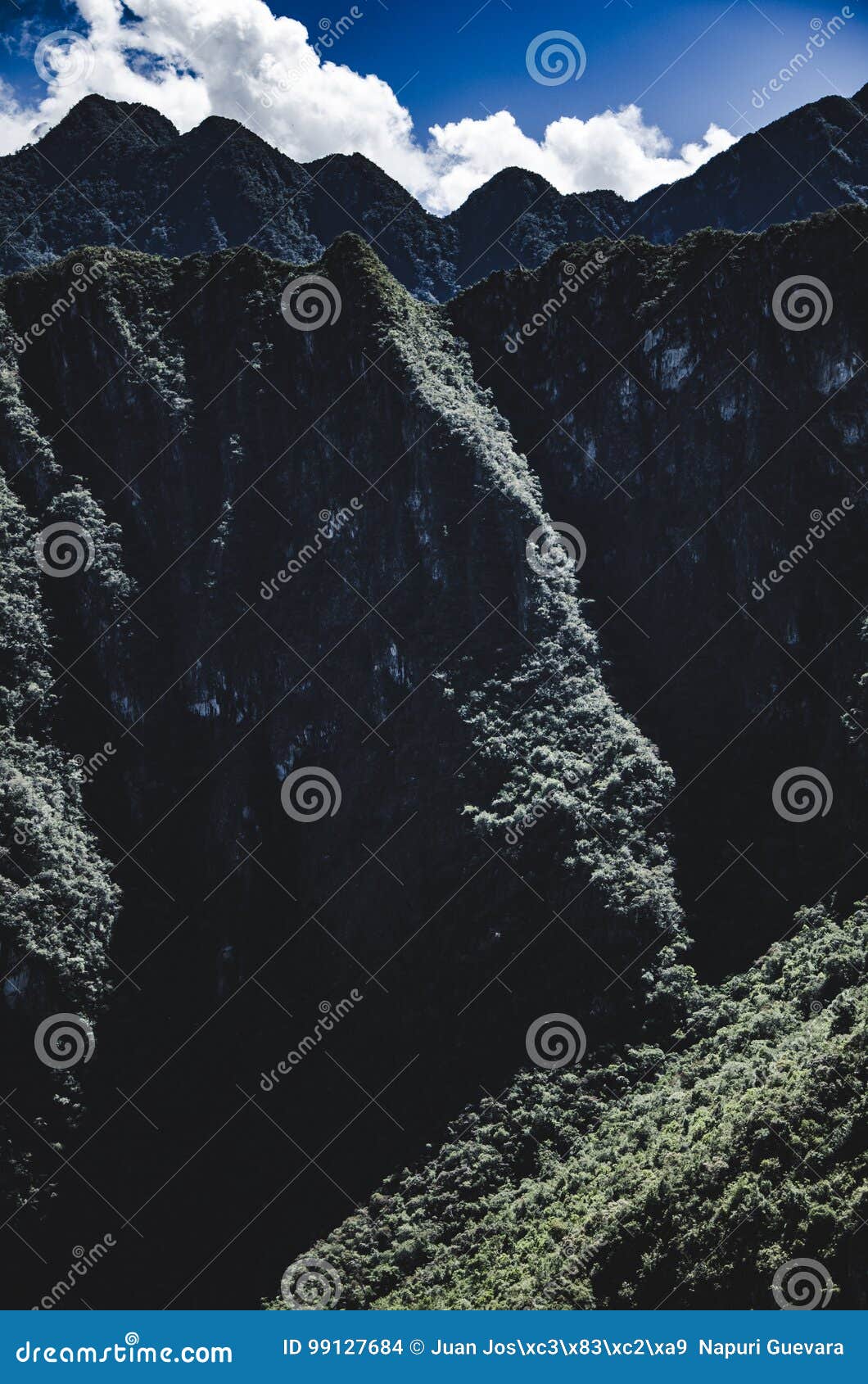 Inca Face stock photo. Image of inca, young, latin, ancient - 99127684