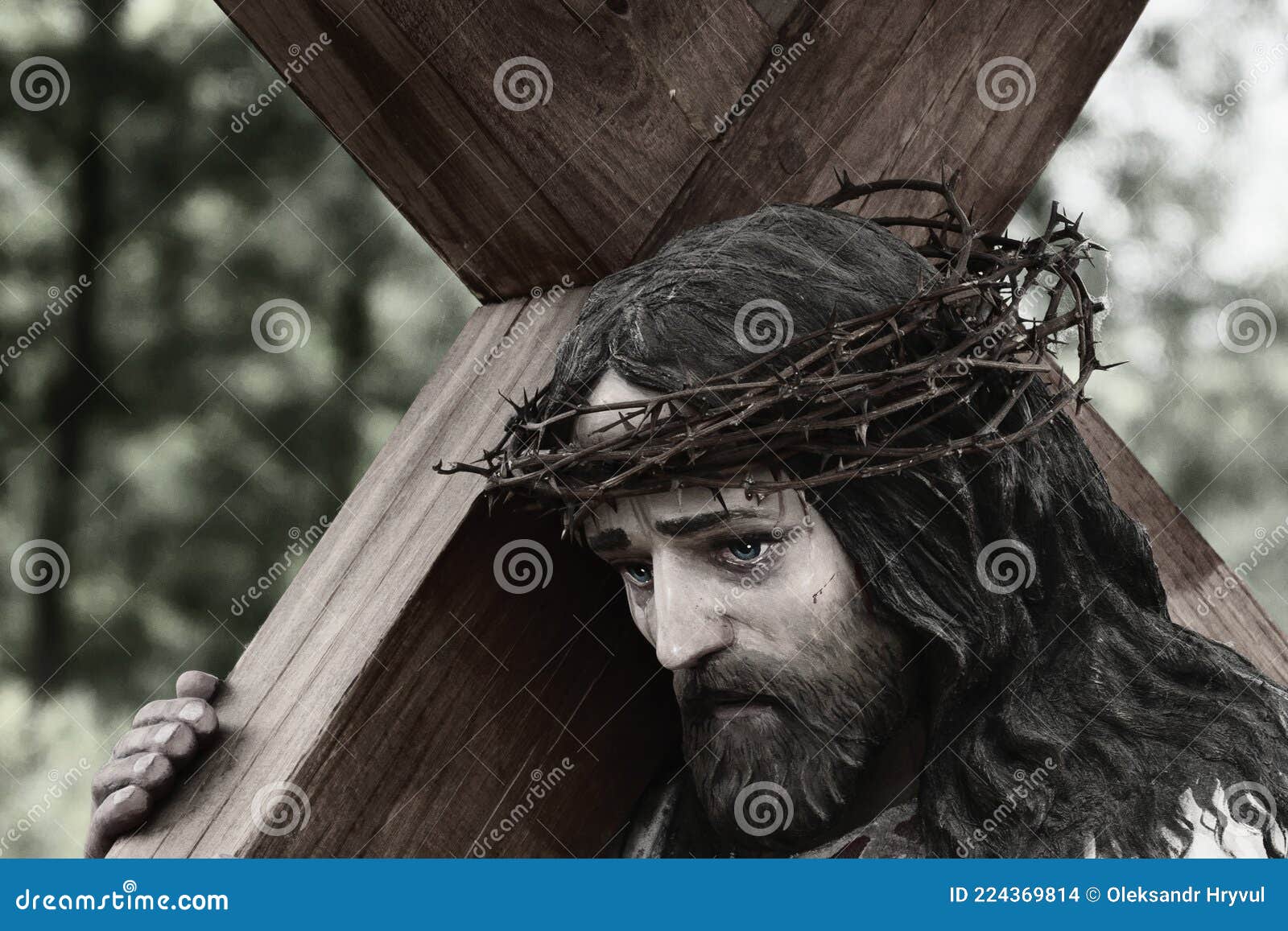 The Face of Jesus Christ, the Son of God. a Crown of Thorns on His Head ...