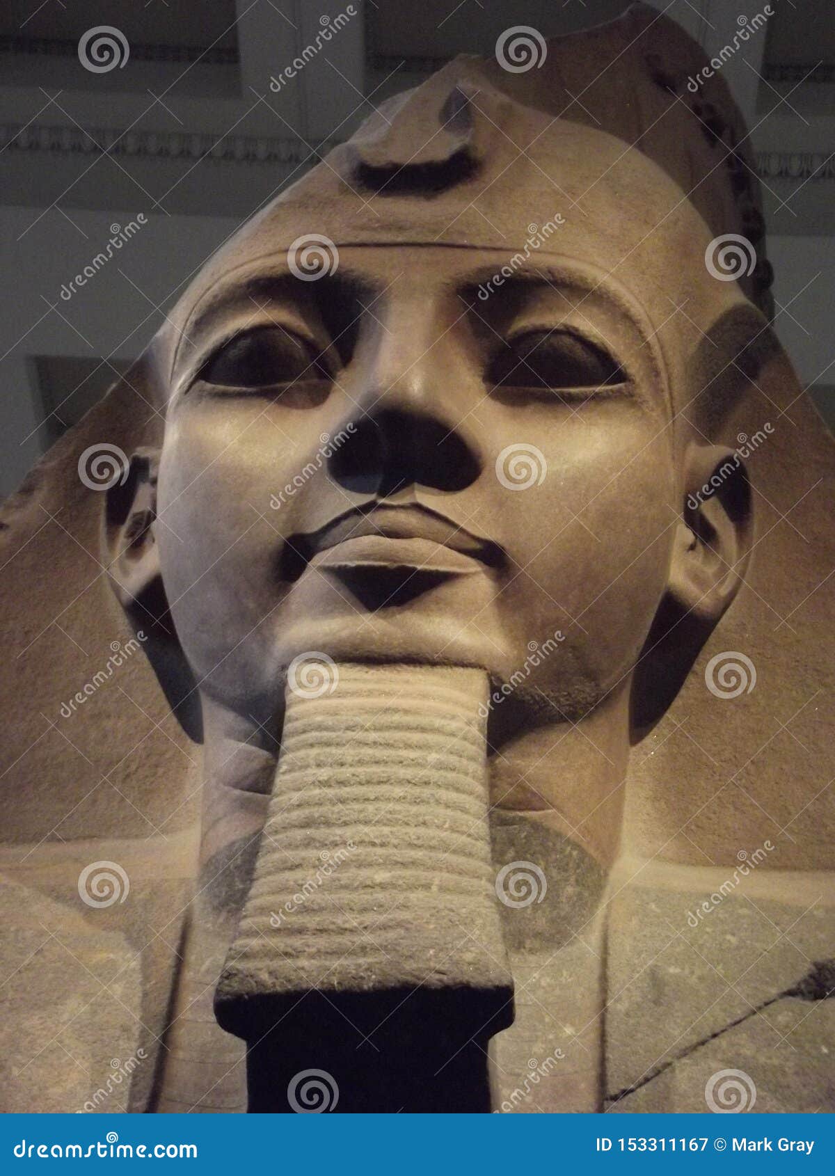 The Face of a King editorial photography. Image of face - 153311167