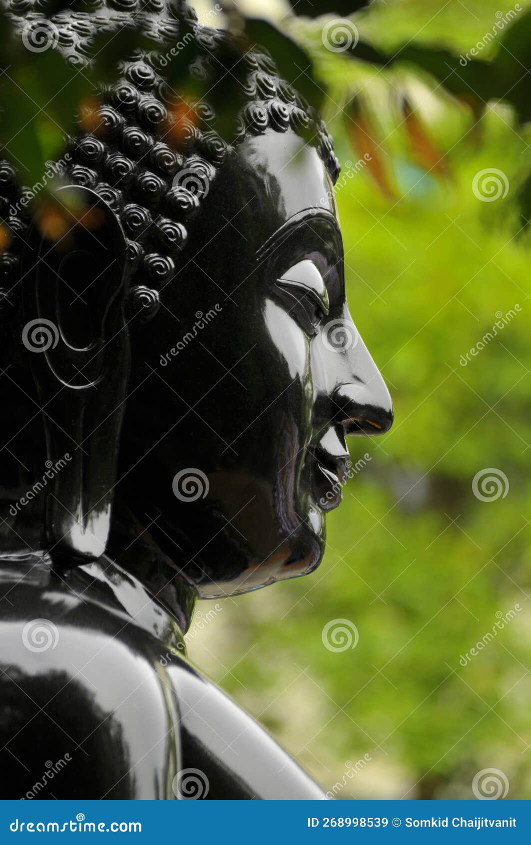 Beside the Face of a Large Black Stone Buddha, a Green Scene. Stock ...