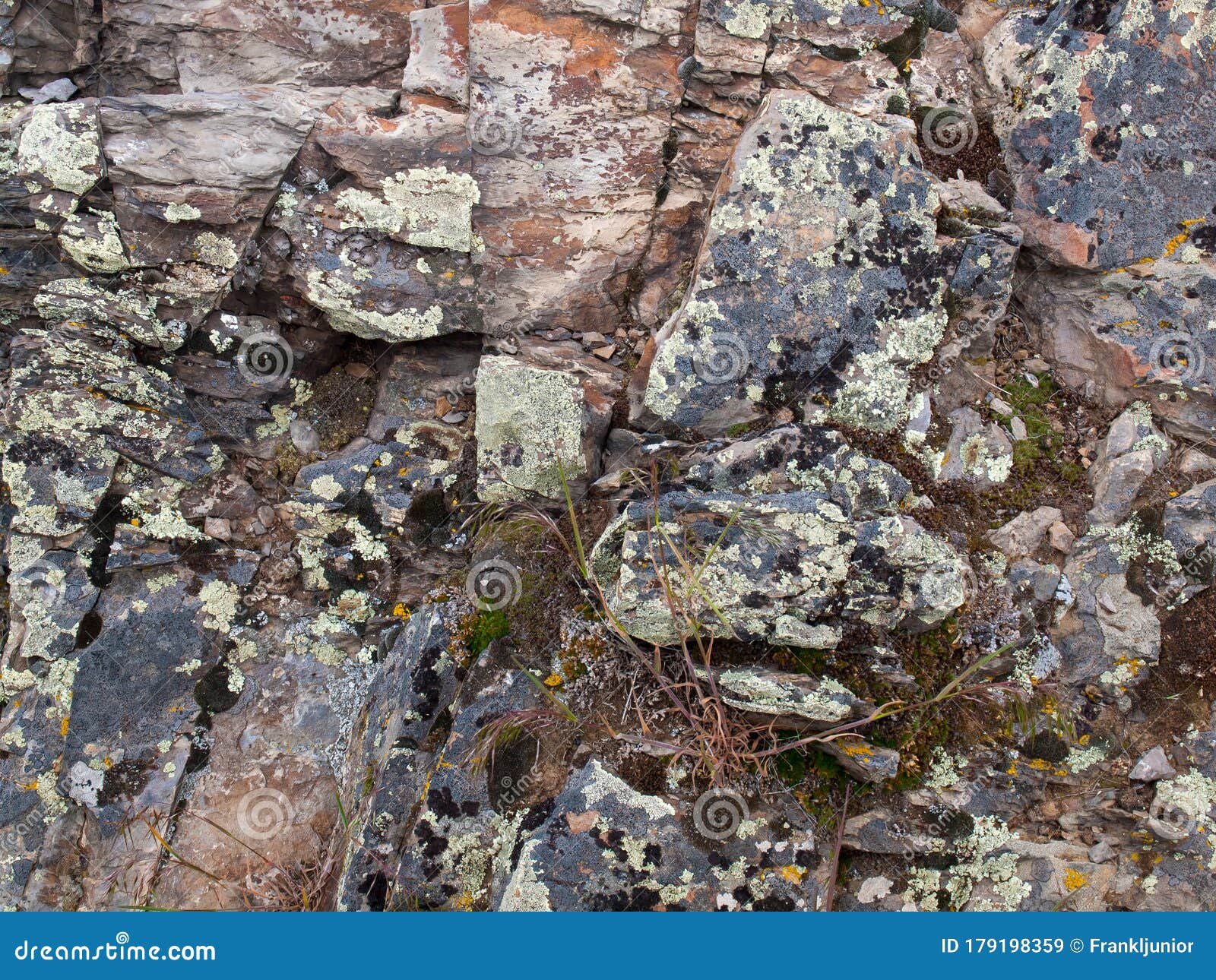 Face of a Layered Mossy Covered Rock Stock Image - Image of macro, face ...