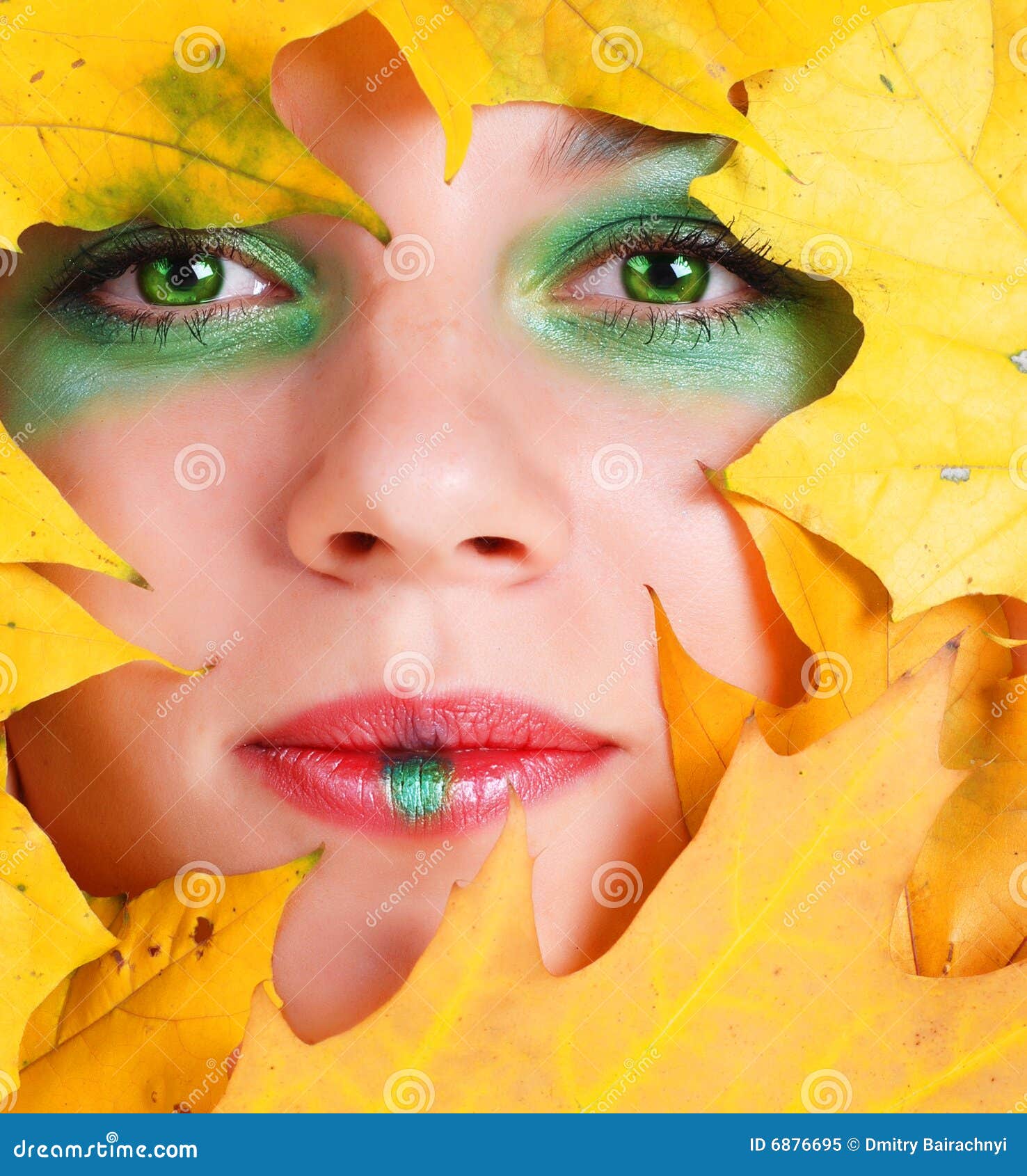 Face with maple leaf stock image. Image of facial, fashion - 6876695