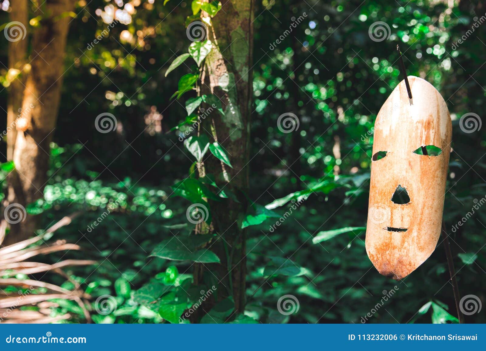 Face Mask Made from Tree Leaf Stock Photo - Image of building, ethnic ...