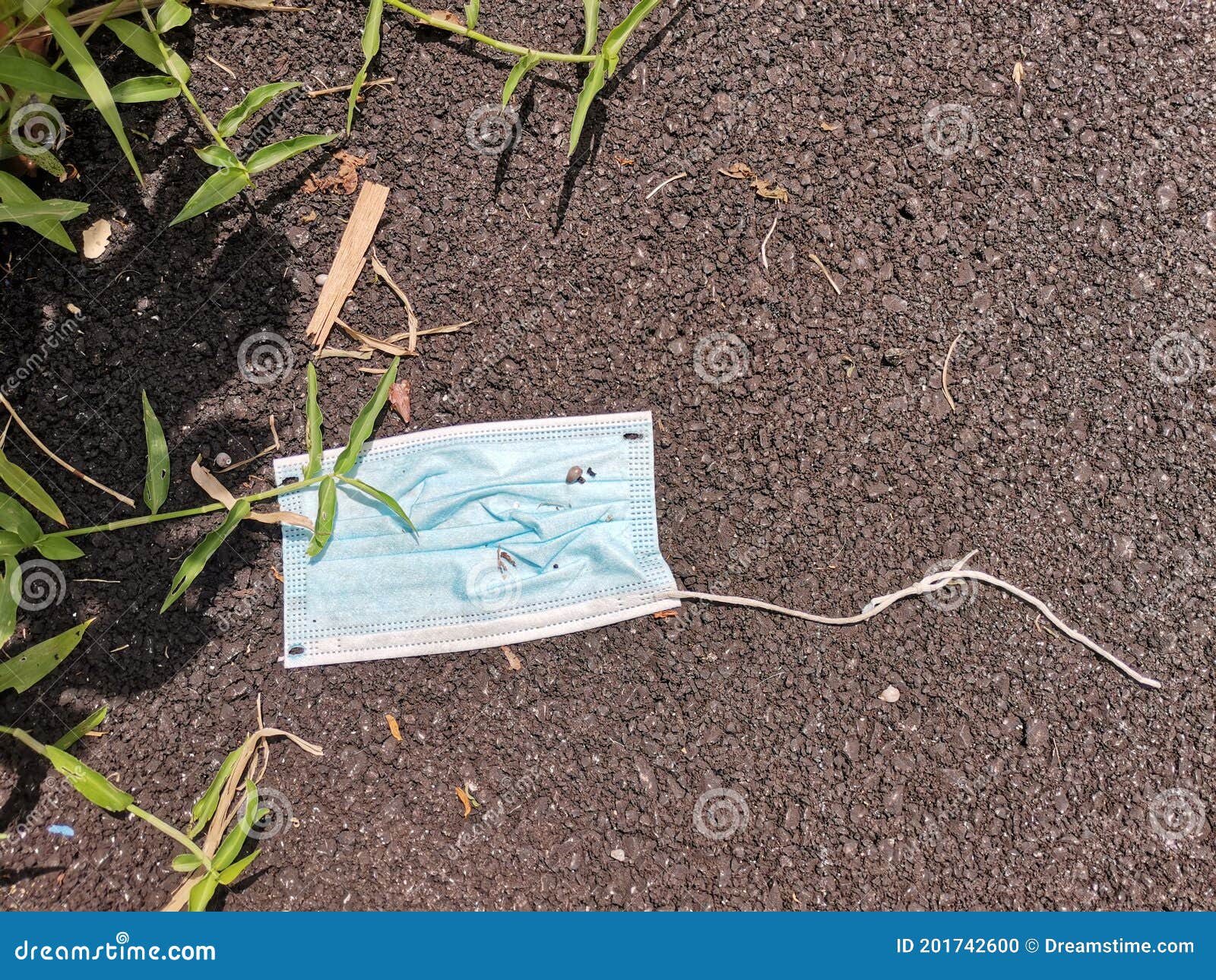 Face Mask Waste during Covid19 Stock Photo - Image of produce, tree ...