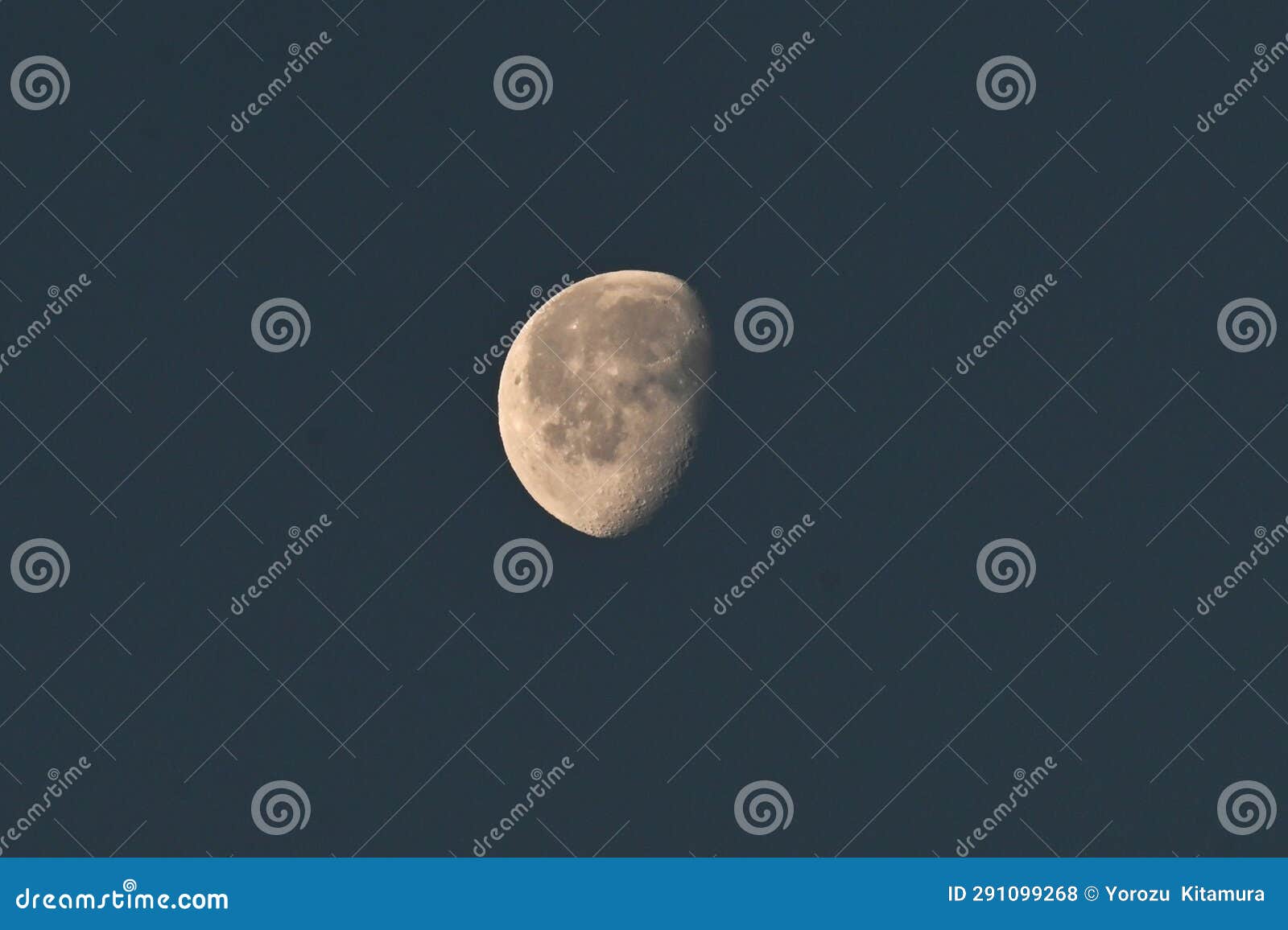 The face of the moon. stock photo. Image of full, surface - 291099268