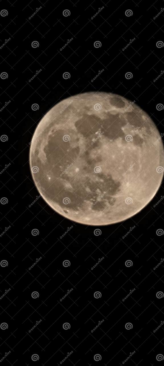 Face moon side stock image. Image of face, moon, side - 251499079