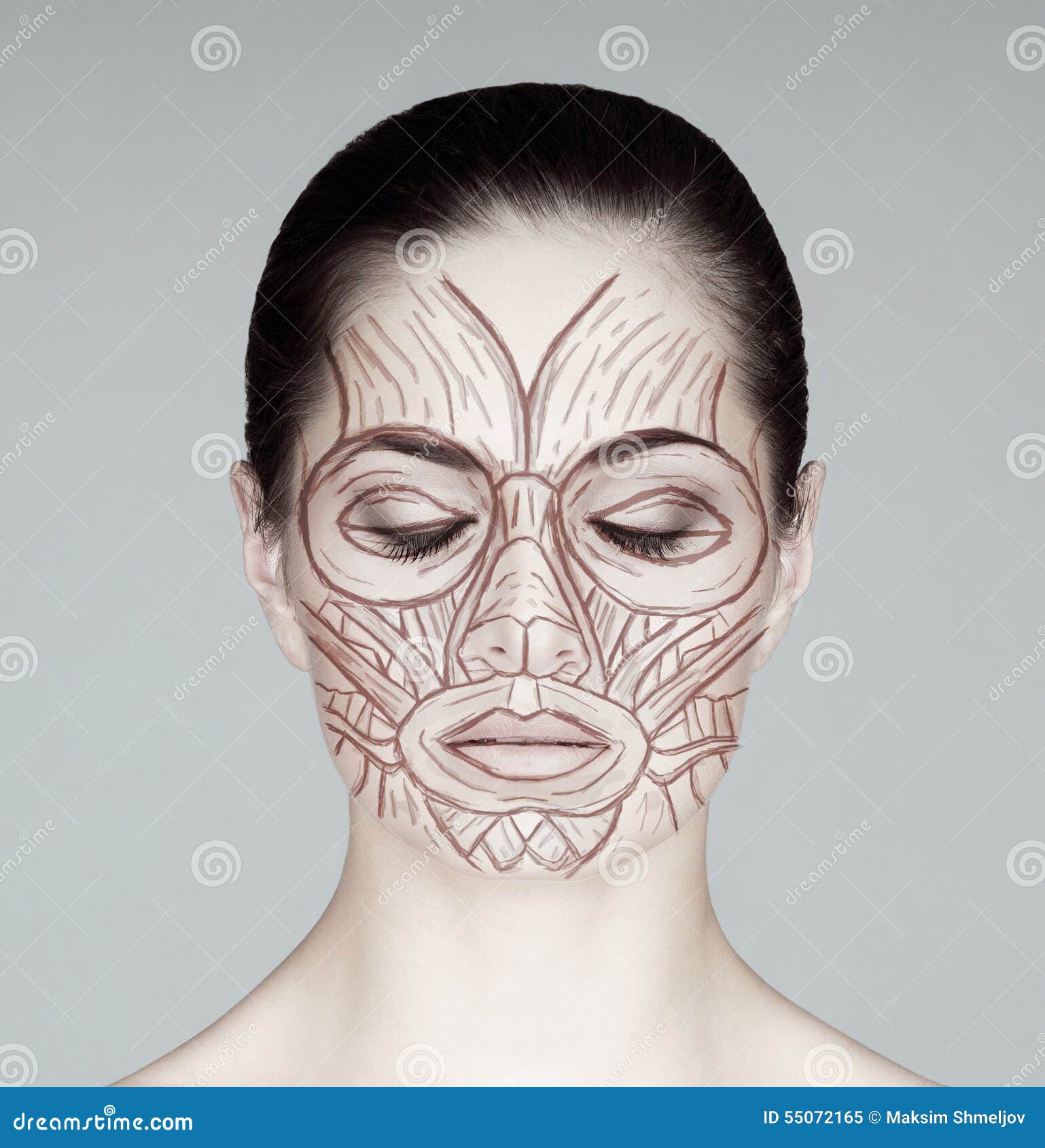 Face muscles of a woman stock image. Image of medicine - 55072165