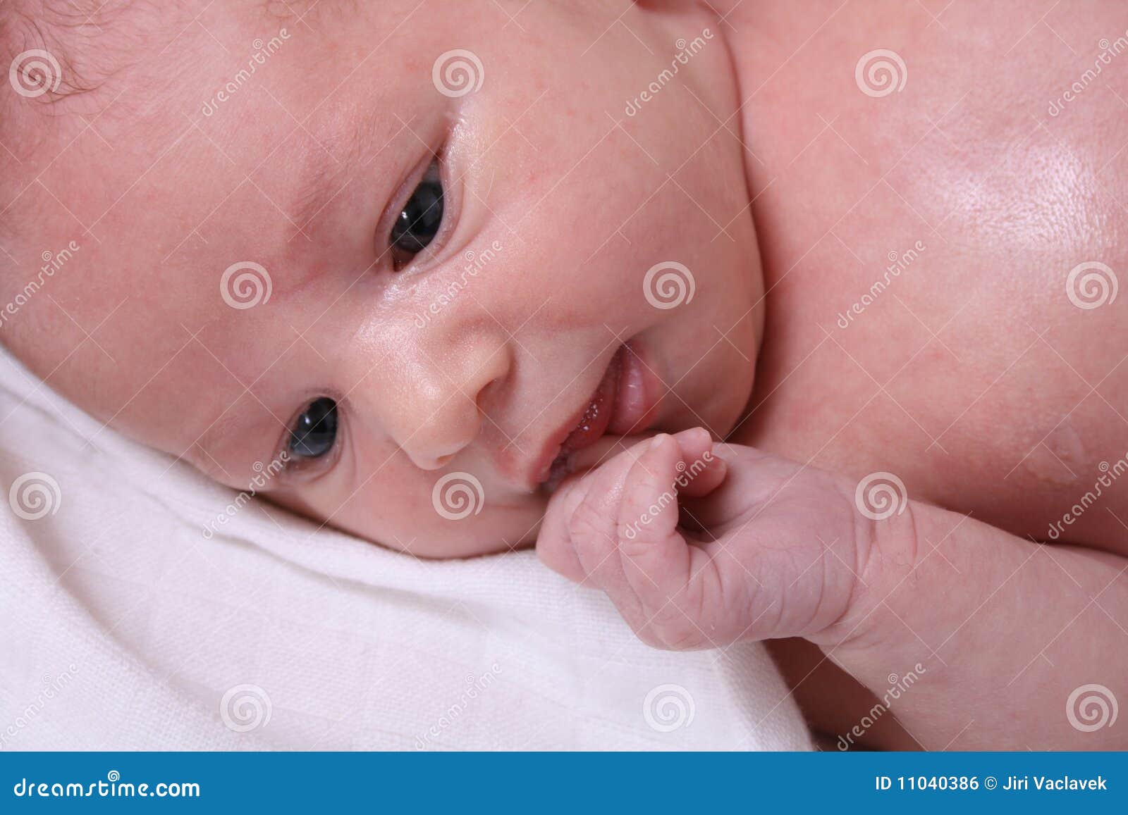 Face of newborn stock photo. Image of face, infant, closeups - 11040386