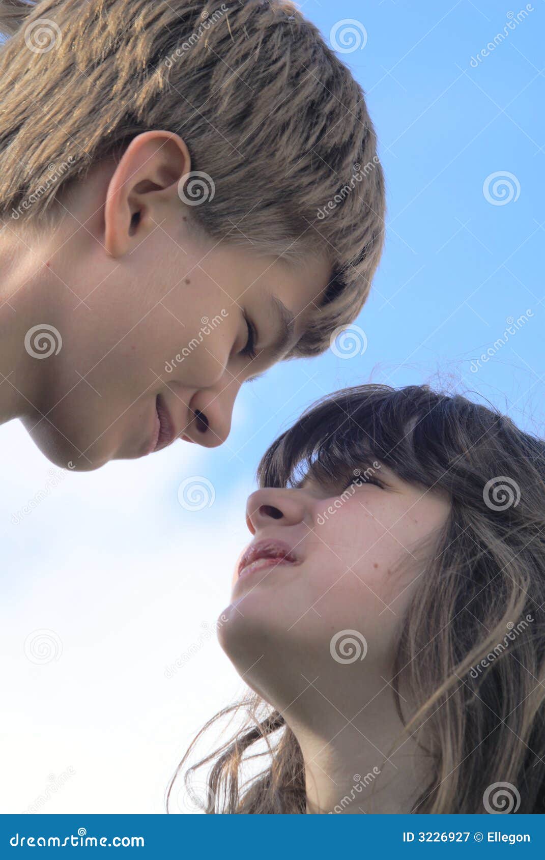 Face Off stock image. Image of intimidate, fight, smirk - 3226927