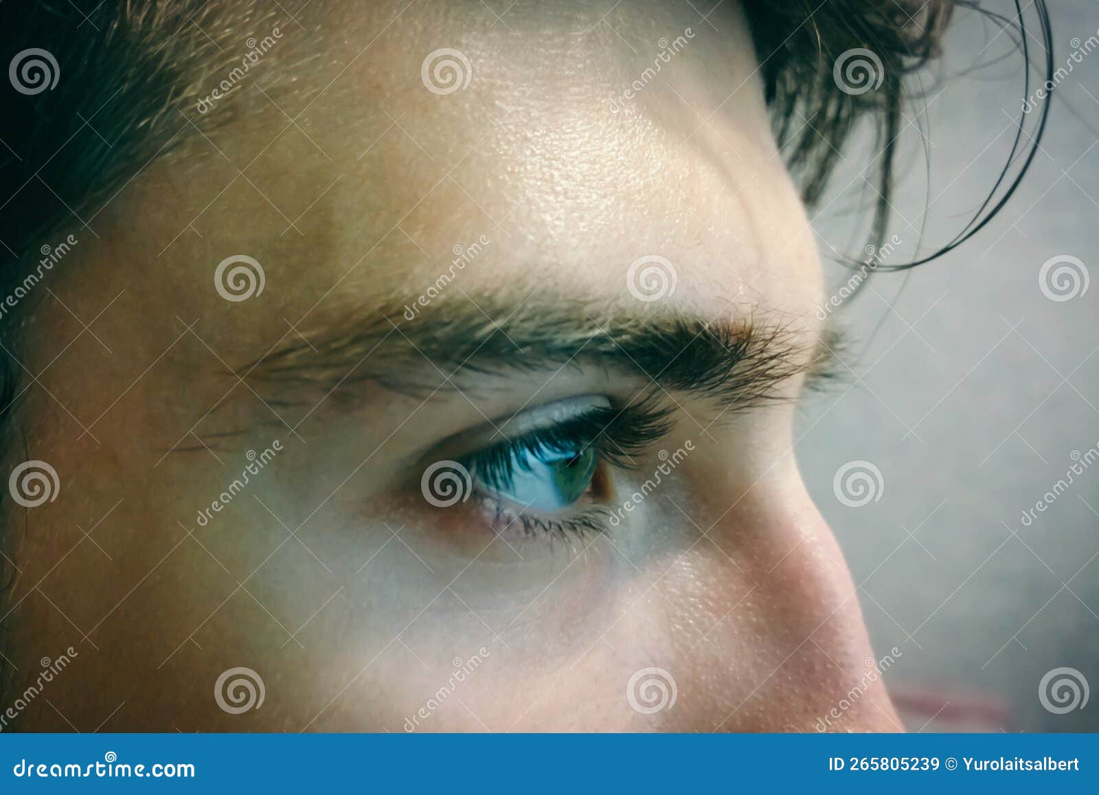 Face in Profile of a Young Man Stock Image - Image of male, confident ...
