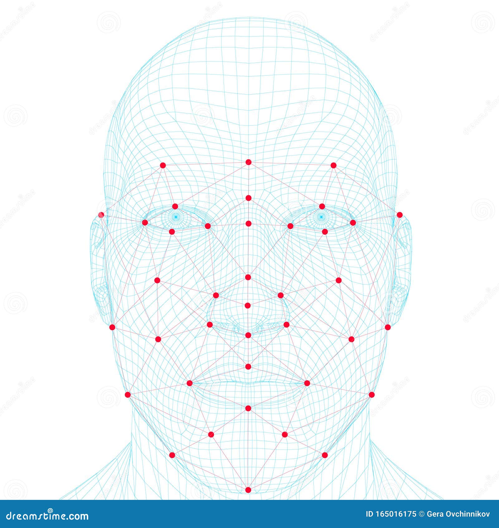 Face Recognition Men. the Polygonal Wireframe of the Head of a Man ...