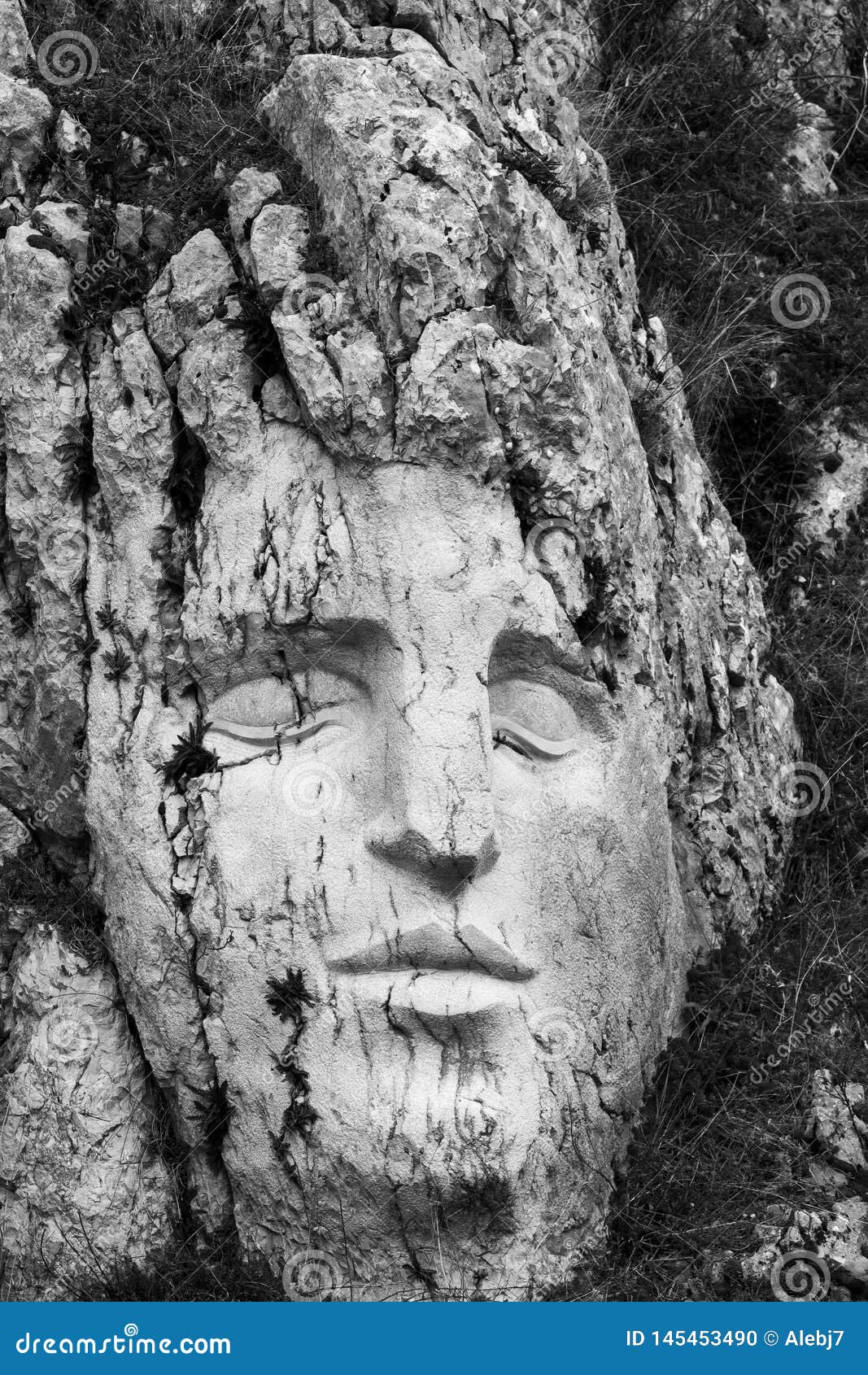 A face in the rock stock photo. Image of black, mystery - 145453490