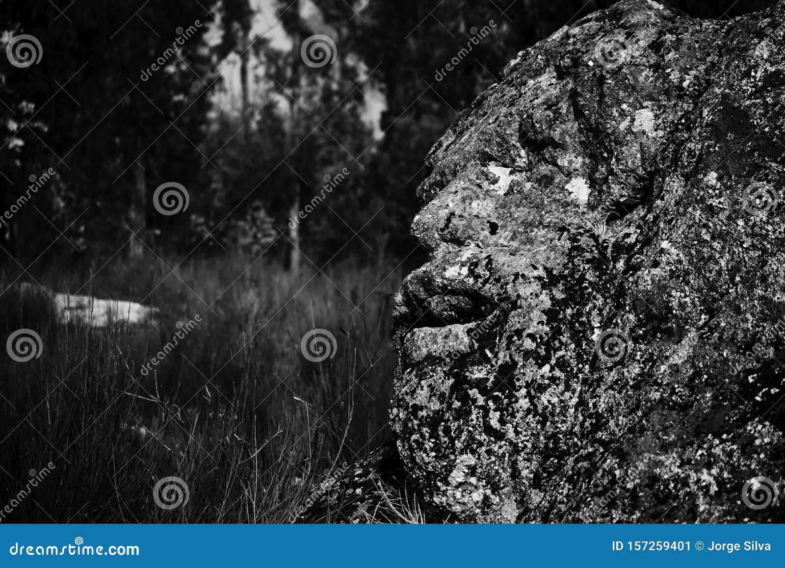 W Face Rock Stock Photos - Download 80,376 Royalty Free Photos