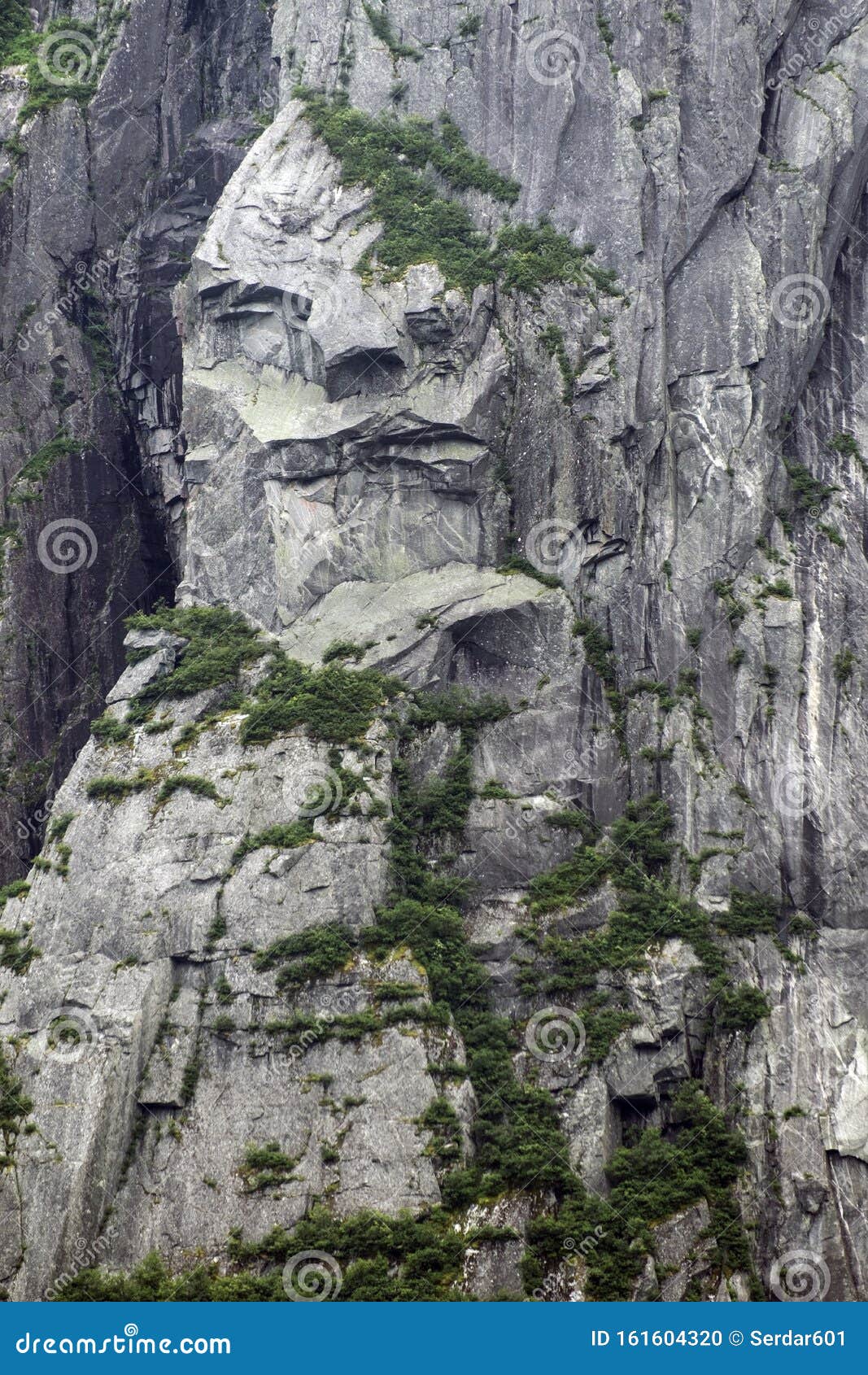 Face in Rock stock photo. Image of morne, outdoor, rock - 161604320