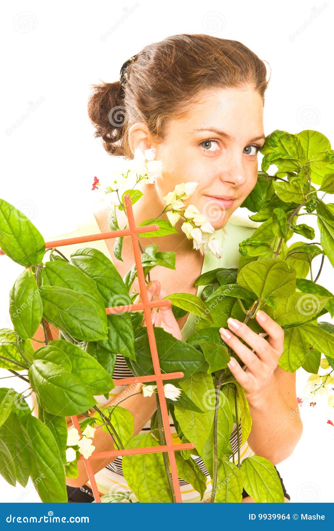 Face of Serene Young Beautiful Woman Stock Photo - Image of head ...