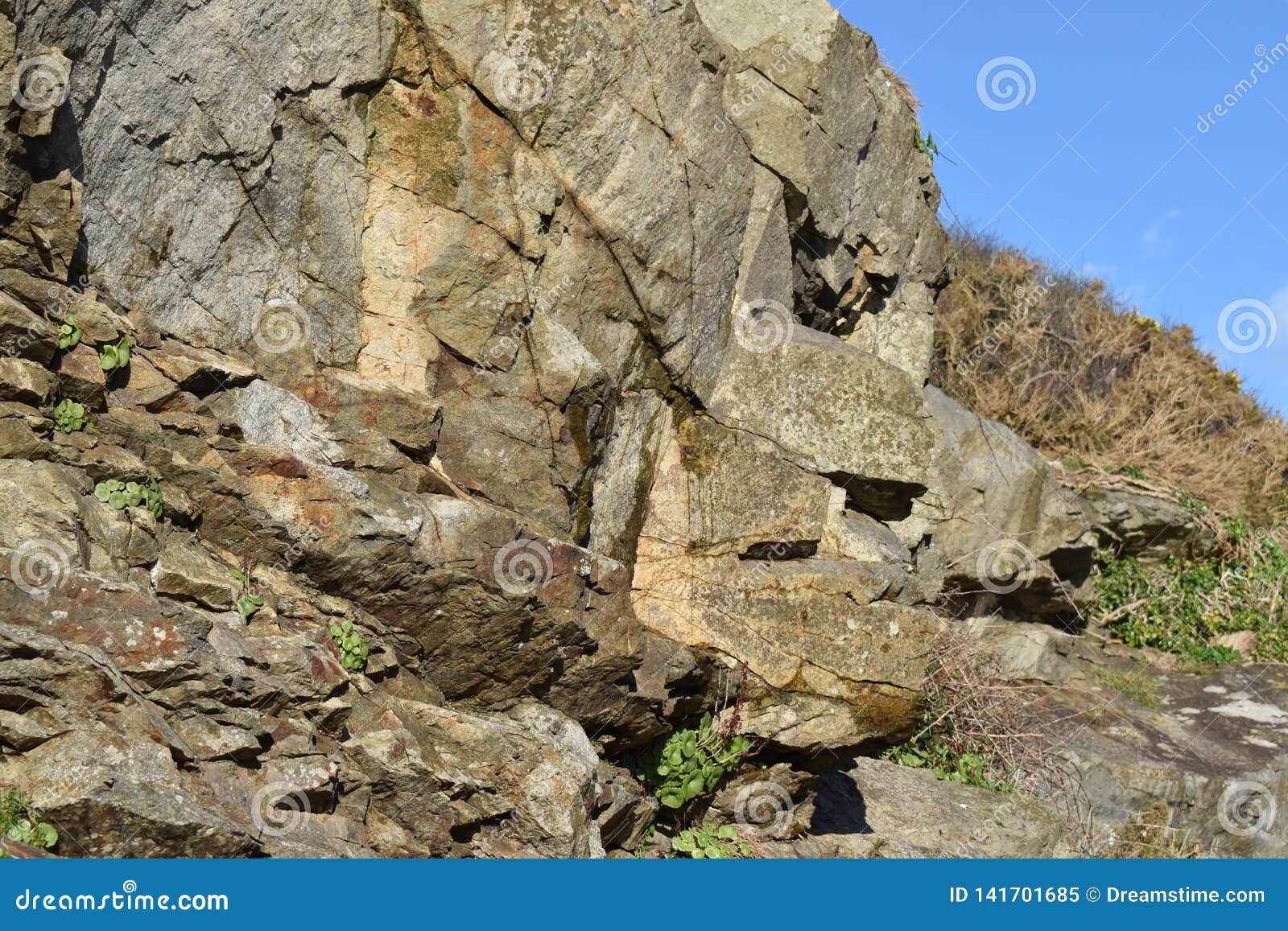 Face Shape Rock on Cliff with Textured Layers and Shapes. Stock Image ...