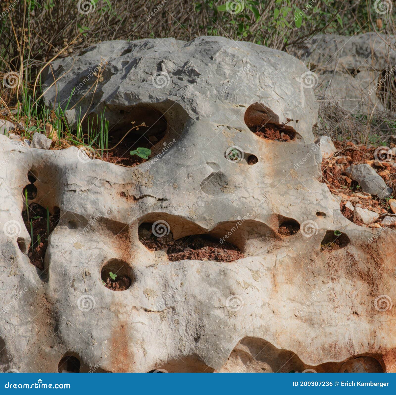 Face shaped eroded stone stock photo. Image of eroded - 209307236