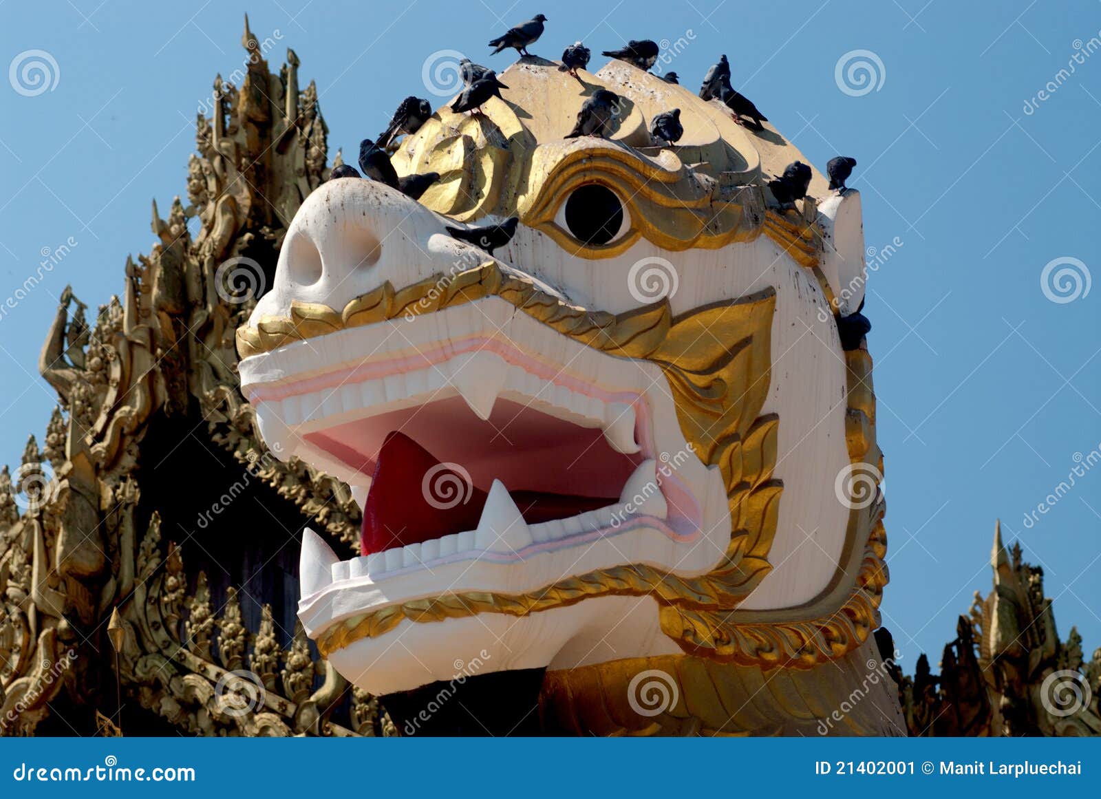 Face of Singha is White Lion Guardians . Stock Image - Image of ...