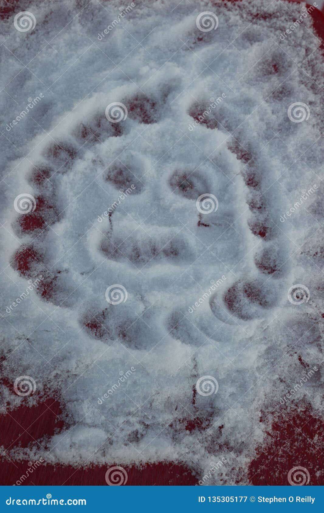 Face in the snow stock image. Image of looking, face - 135305177