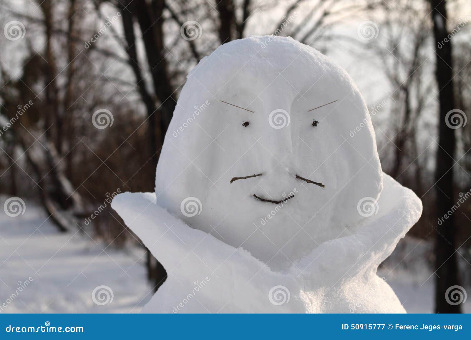 The face of the Snowman stock image. Image of face, cute - 50915777