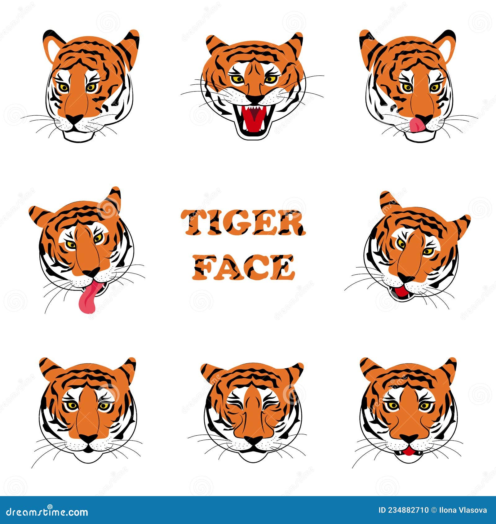 The Face of a Tiger. a Set of Tigers with Different Types of Emotion ...