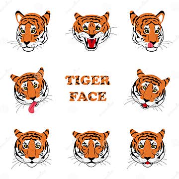 The Face of a Tiger. a Set of Tigers with Different Types of Emotion ...