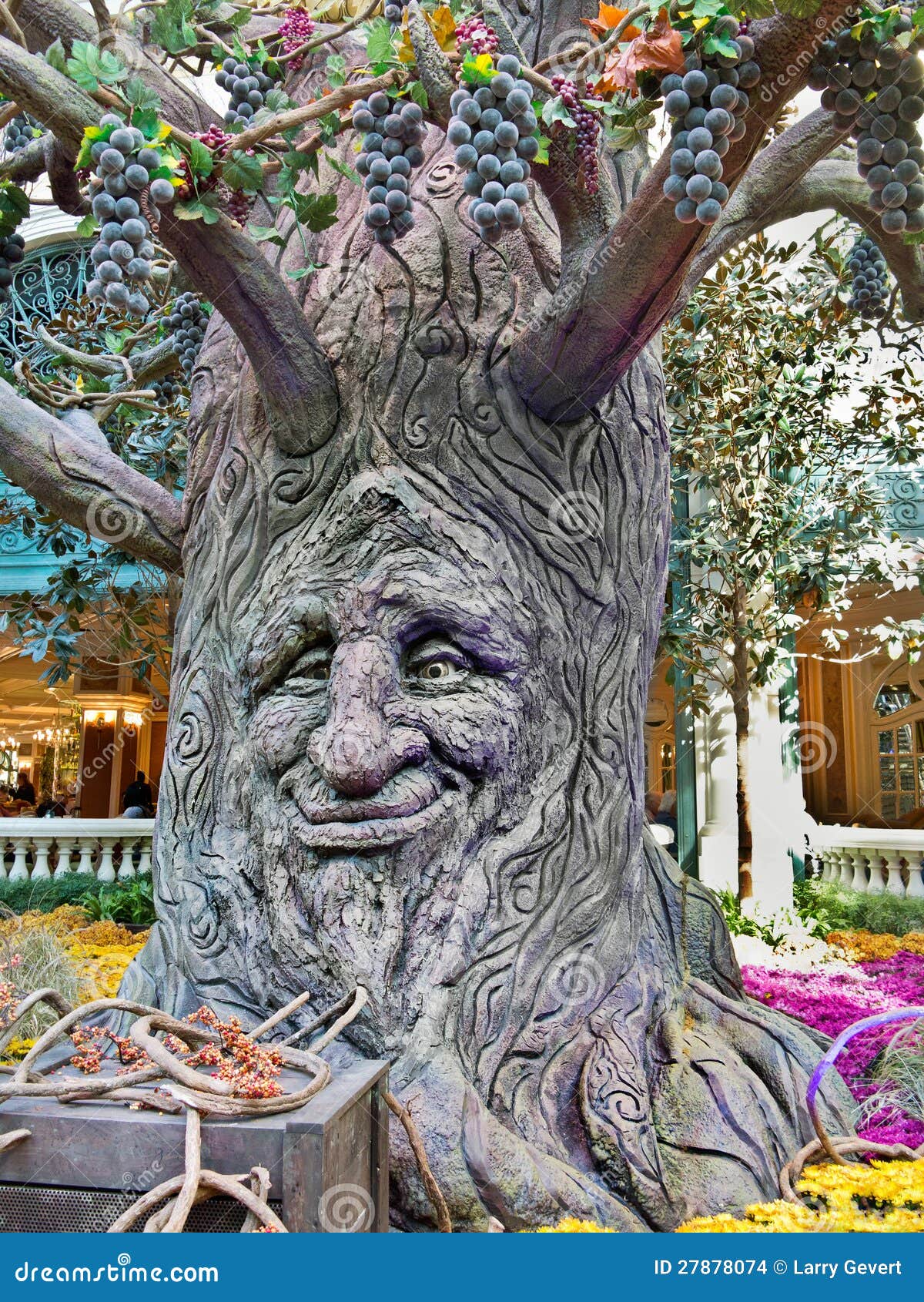 Face in the tree editorial stock image. Image of nevada - 27878074