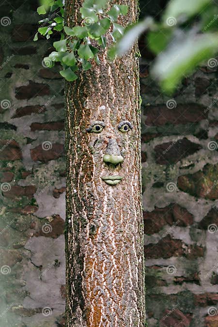 Face on a tree stock photo. Image of tree, brick, green - 48754692