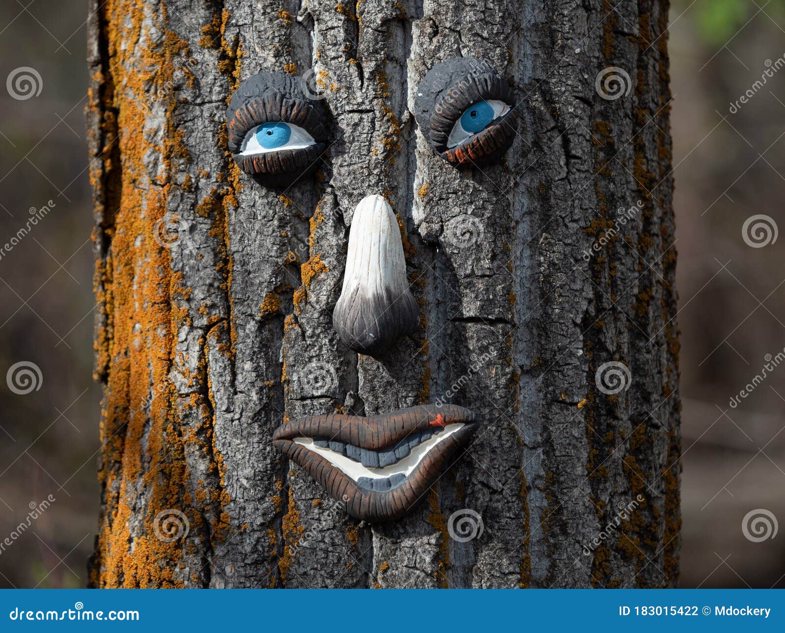 Face on a tree stock photo. Image of trunk, unusual - 183015422