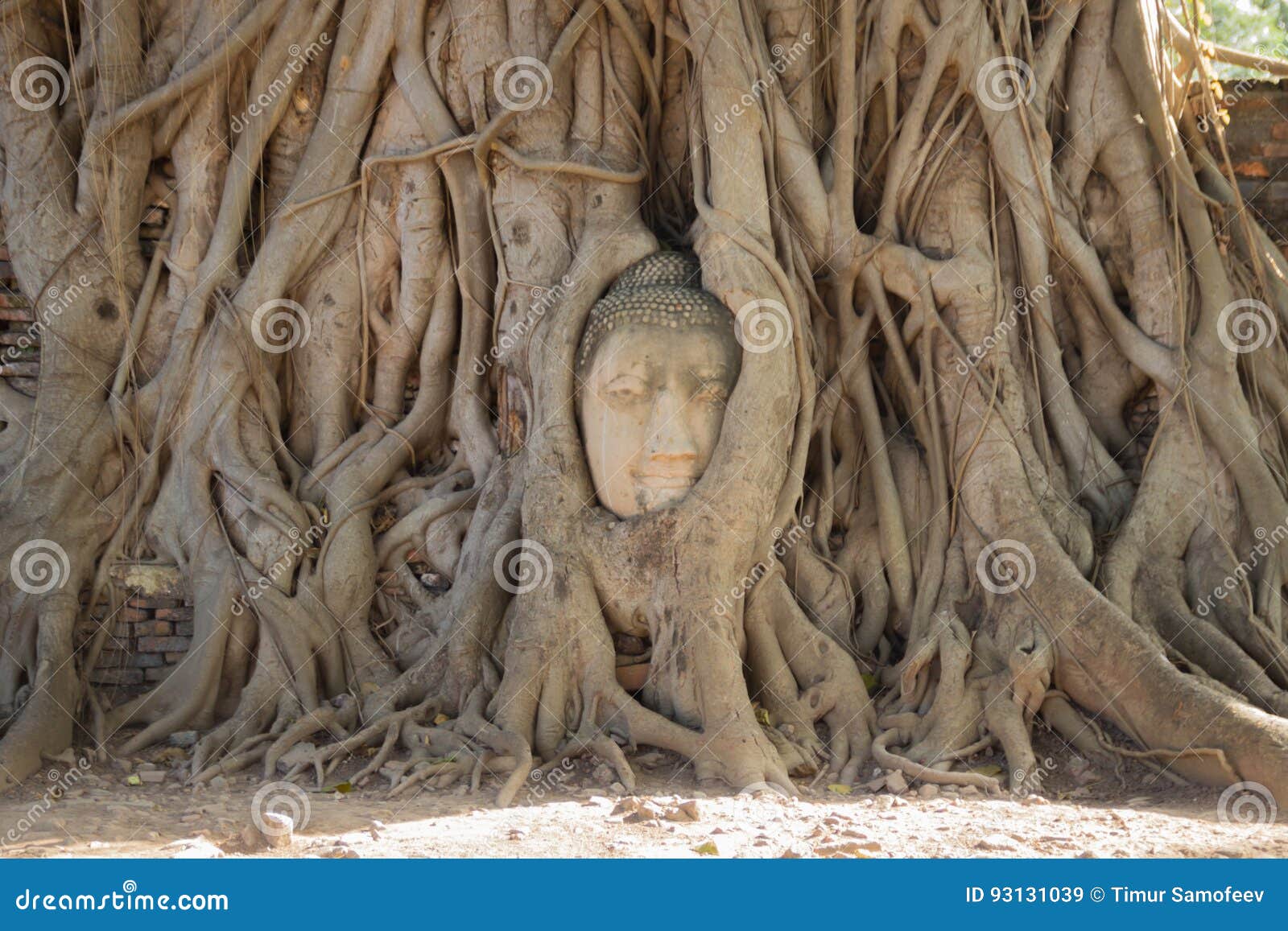 Face stock image. Image of thailand, spring, nature, green - 93131039