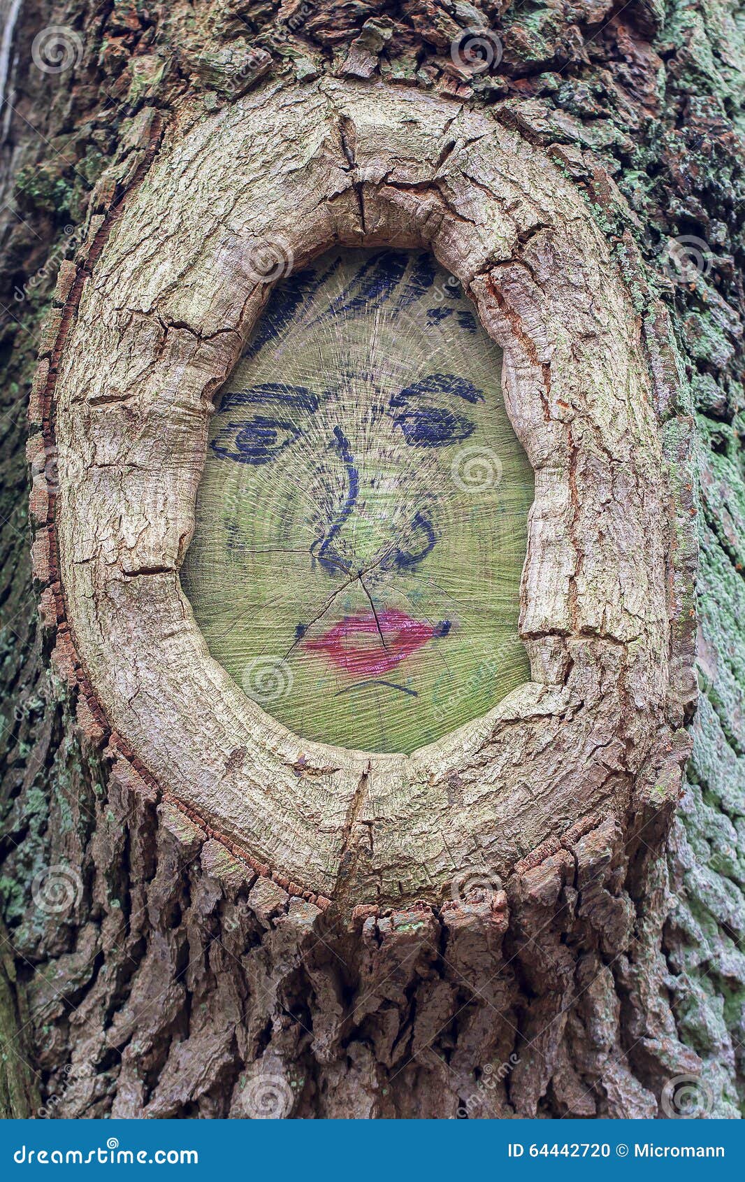 Face - twig scar stock photo. Image of eyes, drawn, grunge - 64442720