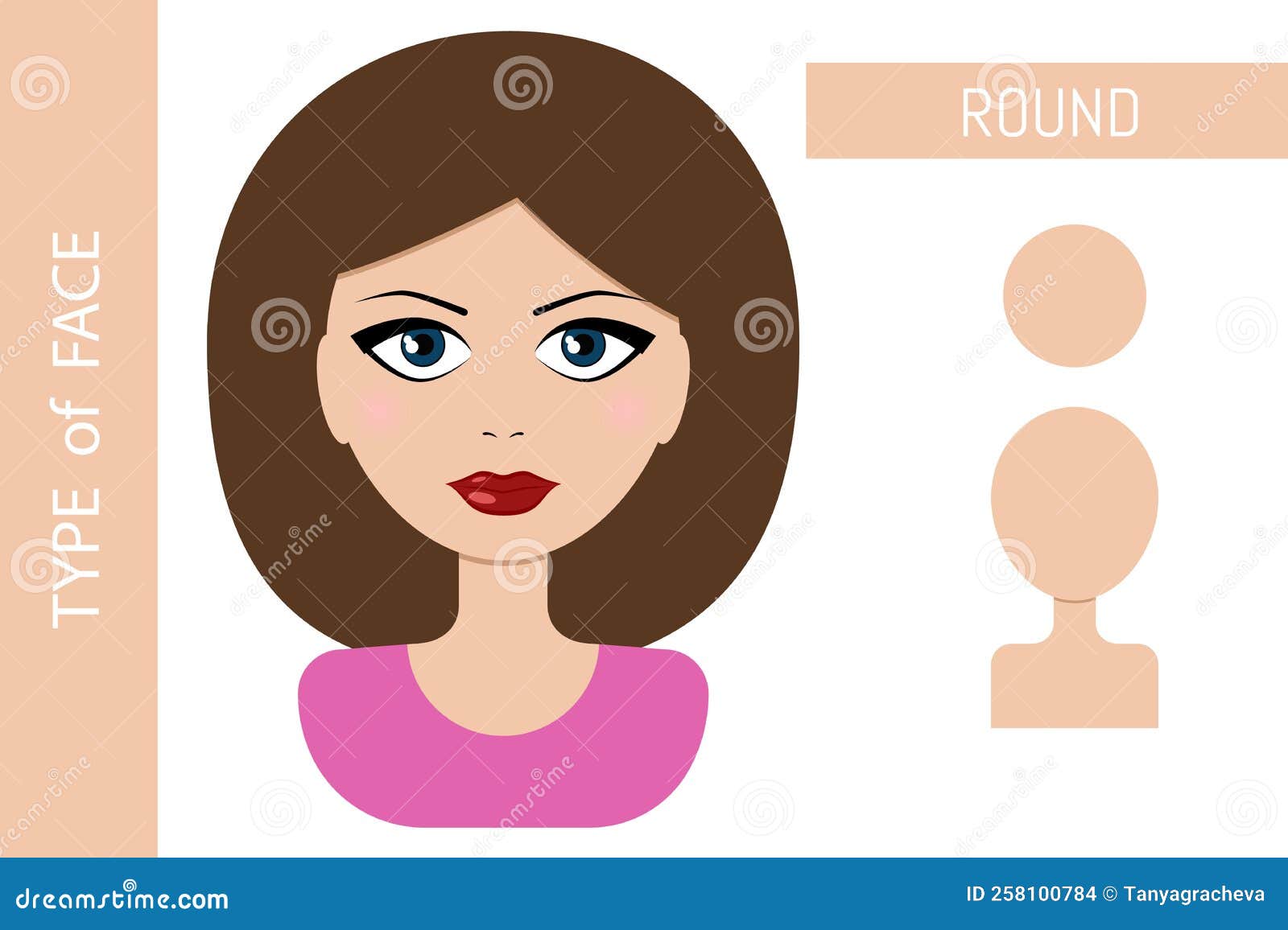Face Type Round Female Shape of Face Stock Vector - Illustration of ...