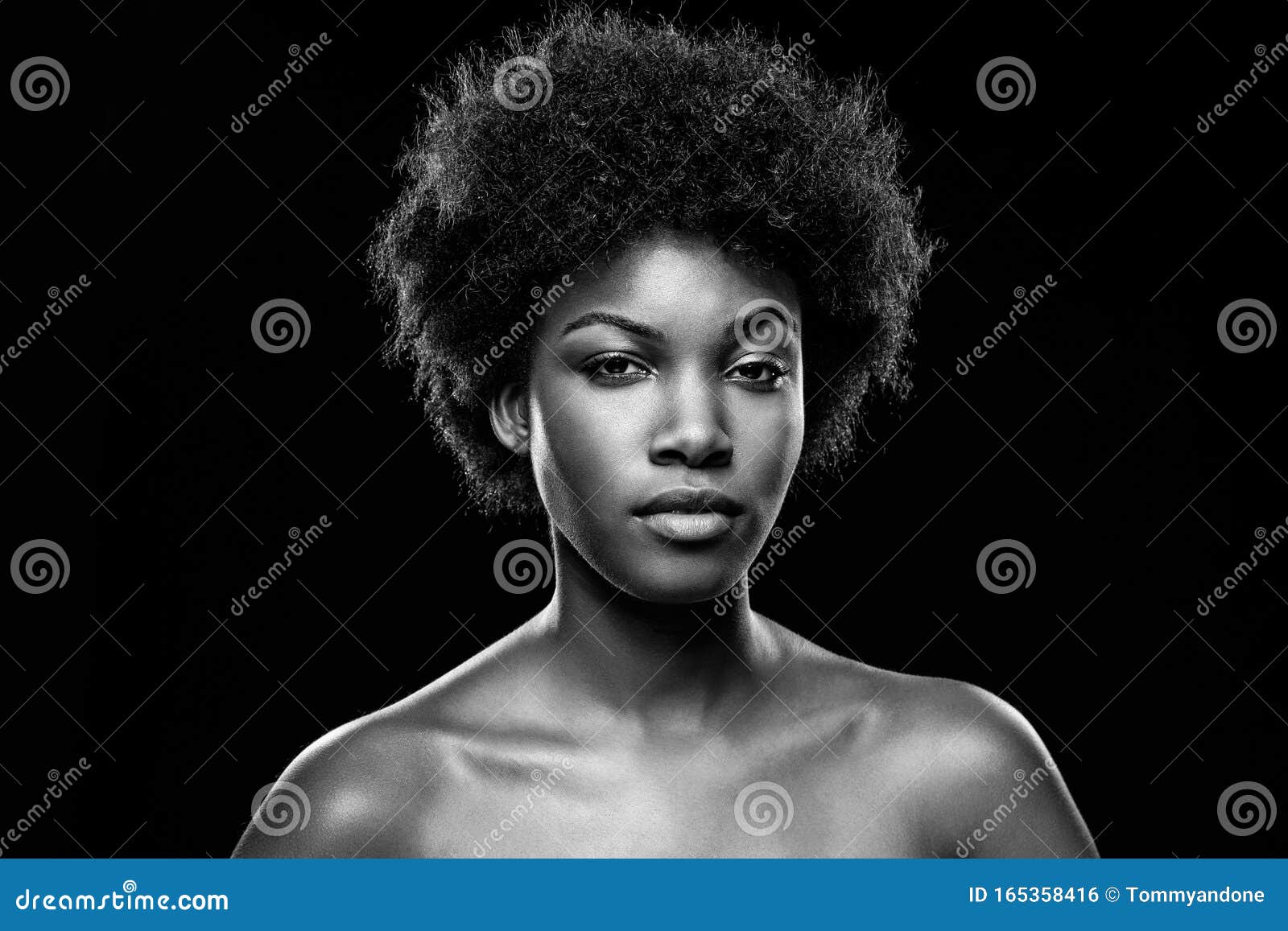 Face a Uma Jovem Beleza Negra Foto de Stock - Imagem de fêmea, fresco ...