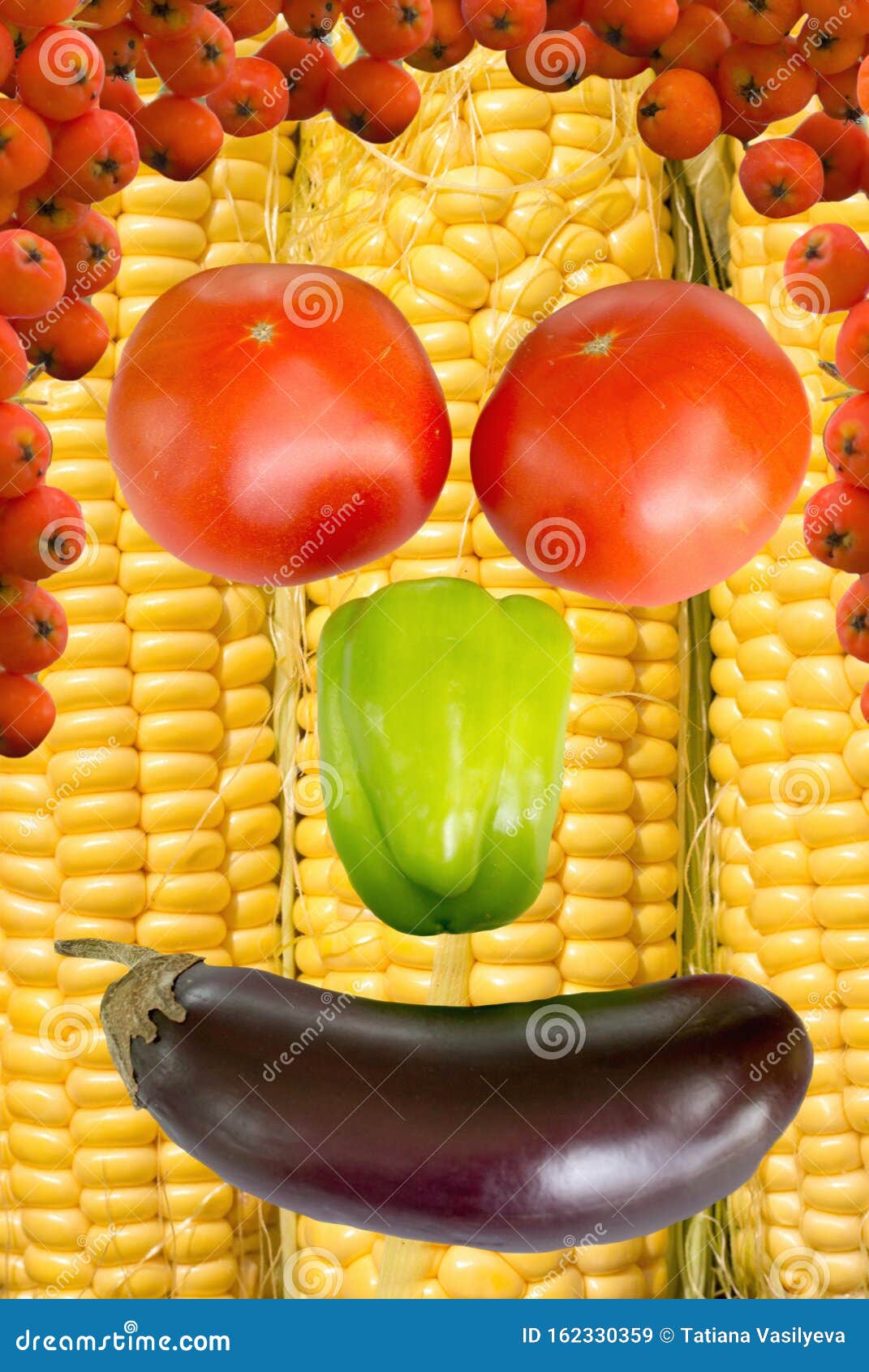 Face of Vegetables. Concept Stock Image - Image of funny, eating: 162330359