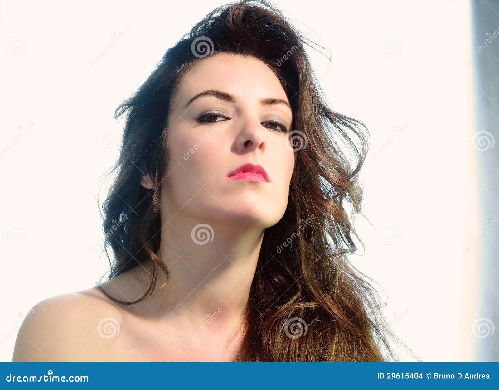Face of woman stock photo. Image of visage, styling, beauty - 29615404
